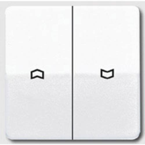 Jung x2 Cache Interrupteur pour stores, Interrupteur / bouton-poussoir ...