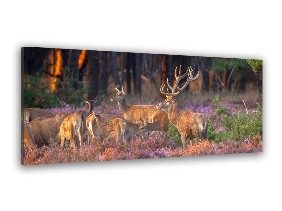 Tableau animaux cerfs et biches au petit matin - 80x30 cm | Leroy Merlin