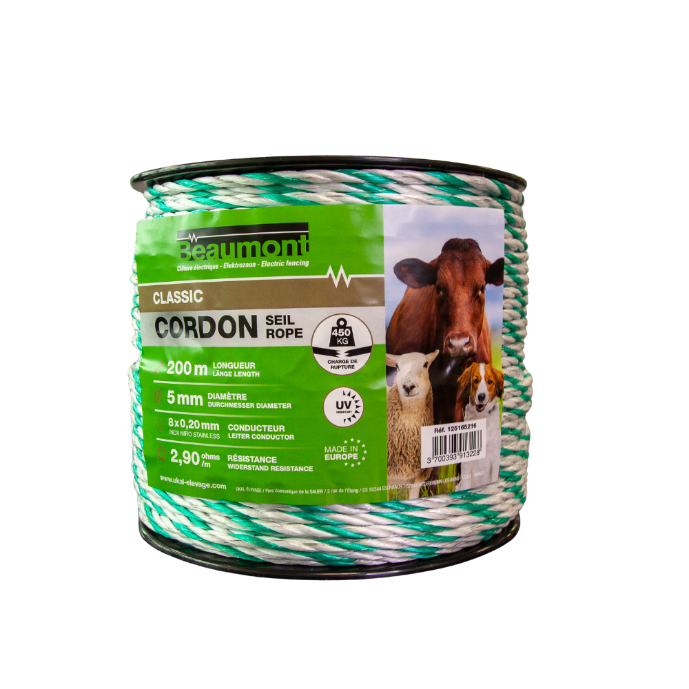 Cordon torsadé blanc et vert diamètre 5 mm 200 m CLASSIC | Leroy Merlin