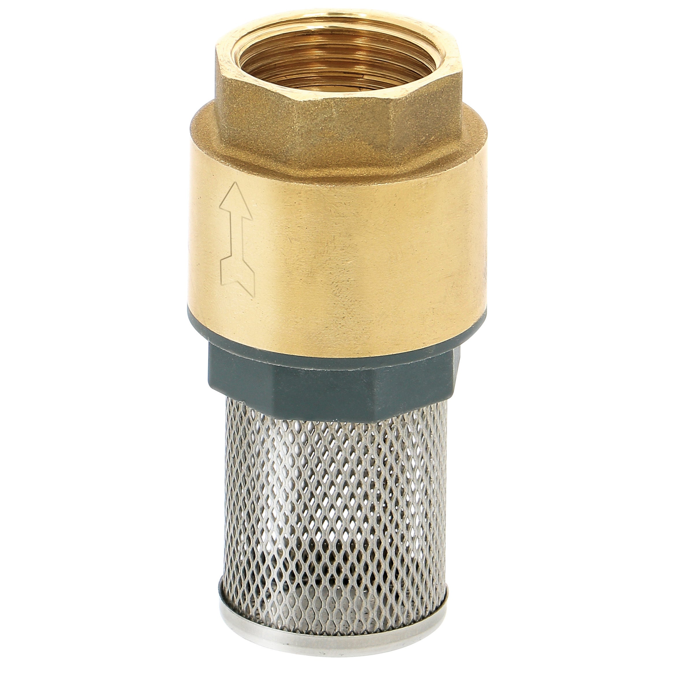 Clapet/crépine standard à ressort F 26/34 | Leroy Merlin