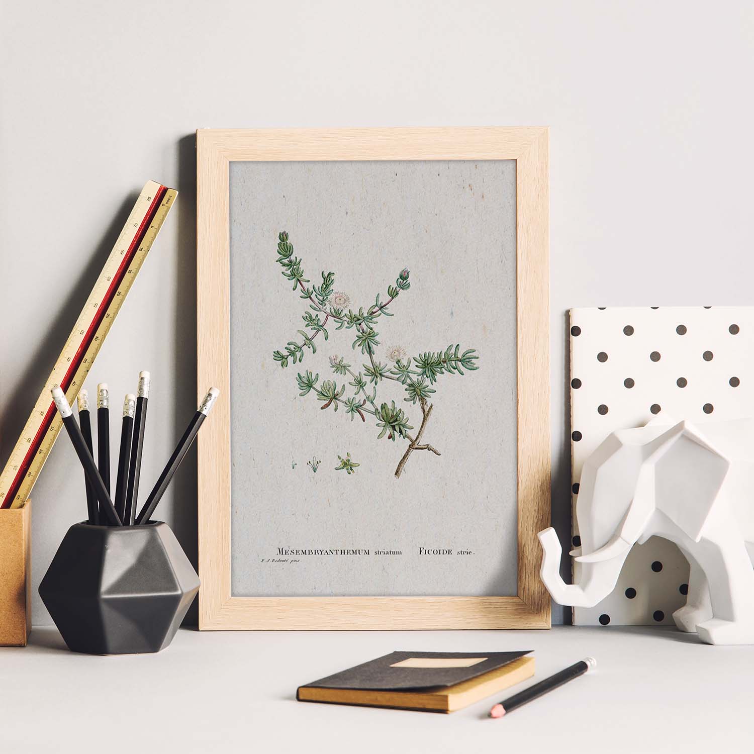 Foglio Naturale - 096. Poster Con Illustrazioni In Acquerello Di Pierre ...