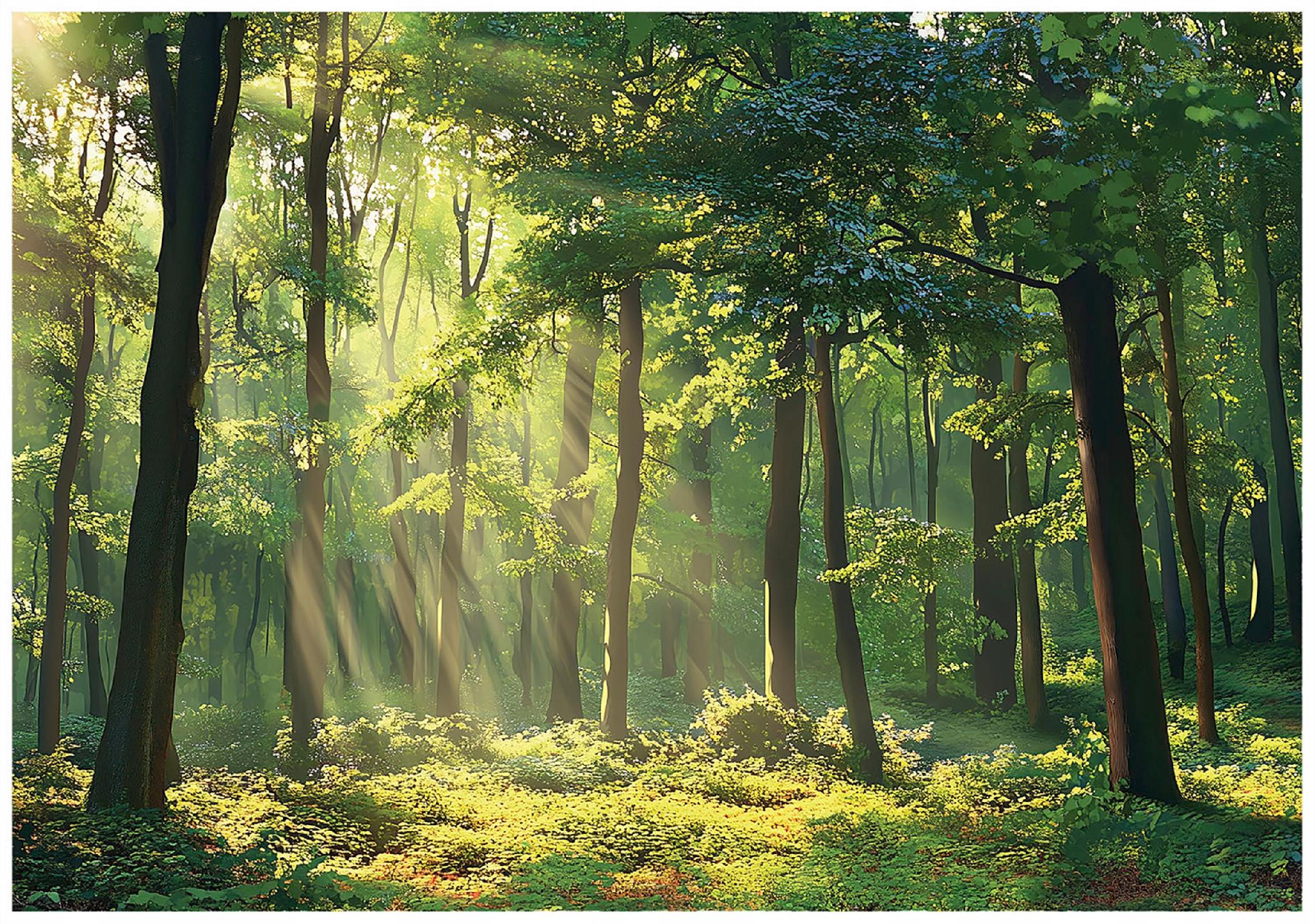 Papier Peint Foret Nature Intissé Panoramique 350x250 cm - Colle Inclus ...