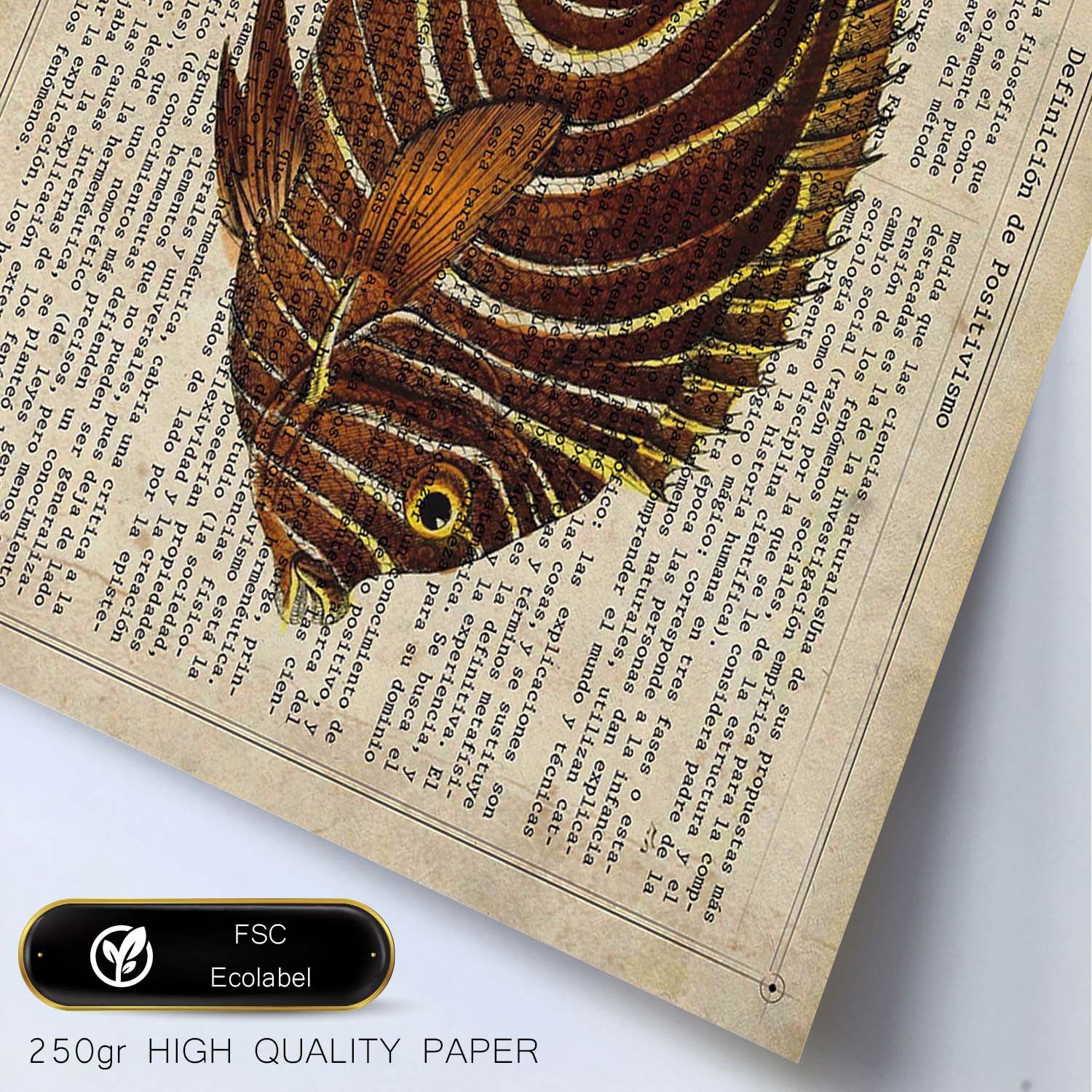 Affiche De Poisson Marin. Fiche De Poisson Papillon Avec Définition ...