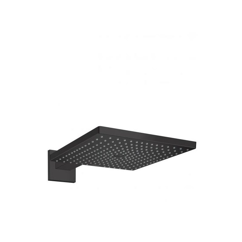 Hansgrohe Douche de tête Raindance E300, 1 jet avec bras de douche ...