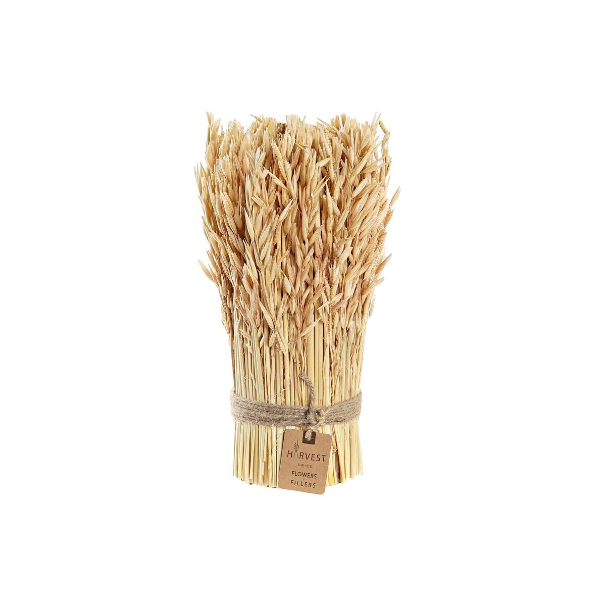 Plante décorative DKD Home Decor Fleur Beige Avoine (12 x 12 x 30 cm ...