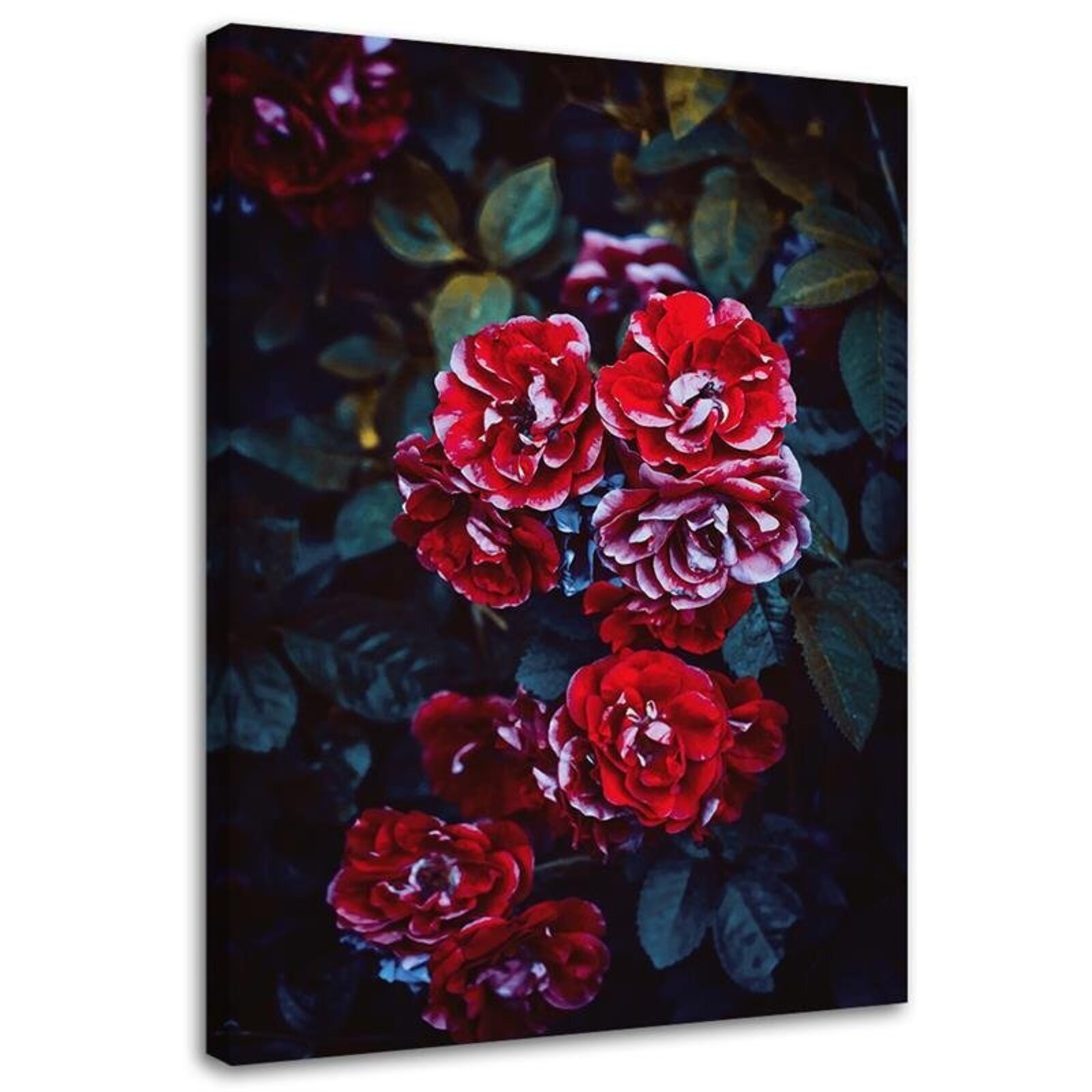 Tableau fleurs rouges sur fond de feuilles | Leroy Merlin