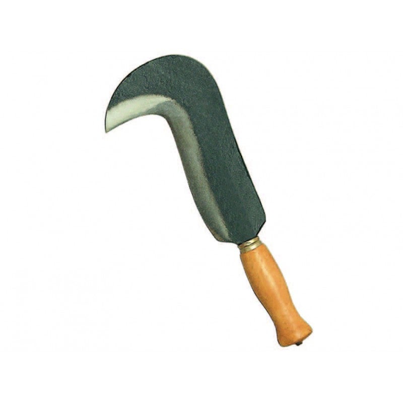 Ronchetta becco corto | Leroy Merlin