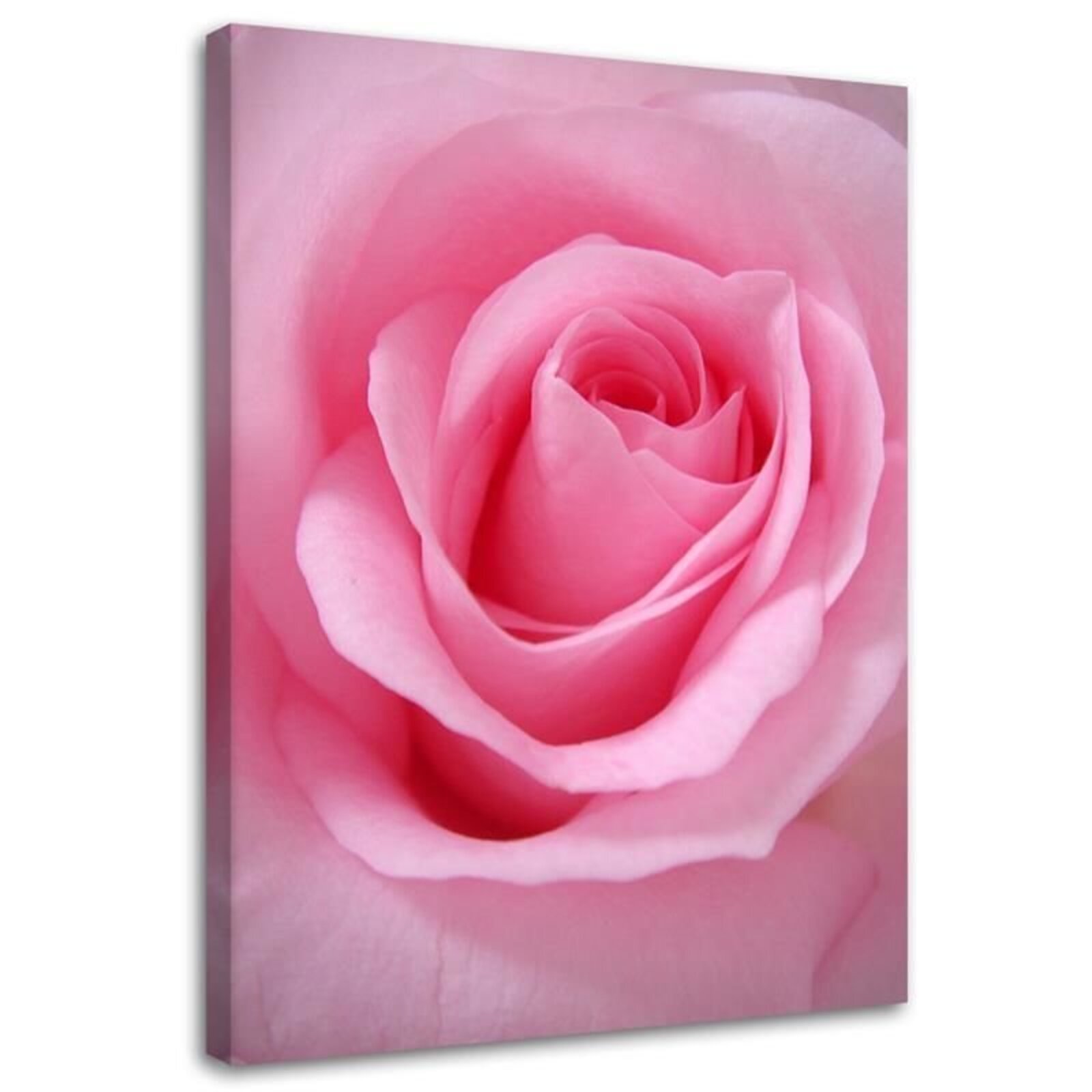 Tableau rose pastel | Leroy Merlin