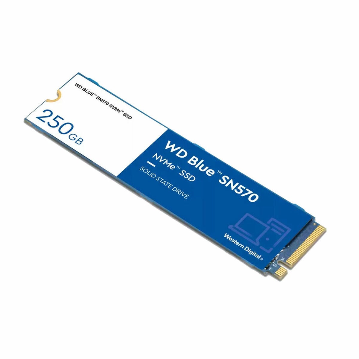 Hard Disk Western Digital BLUE 250 GB SSD | Leroy Merlin