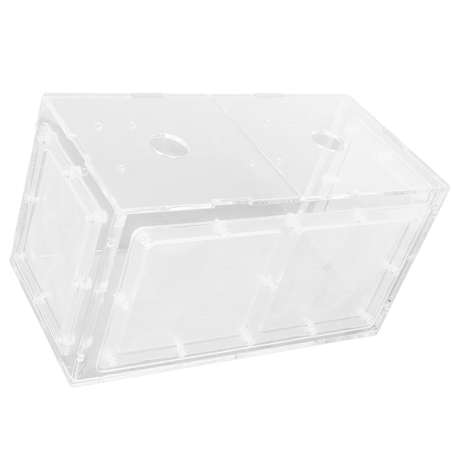 Boîte d'isolement d'élevage de poissons Incubateur de réservoir de ...
