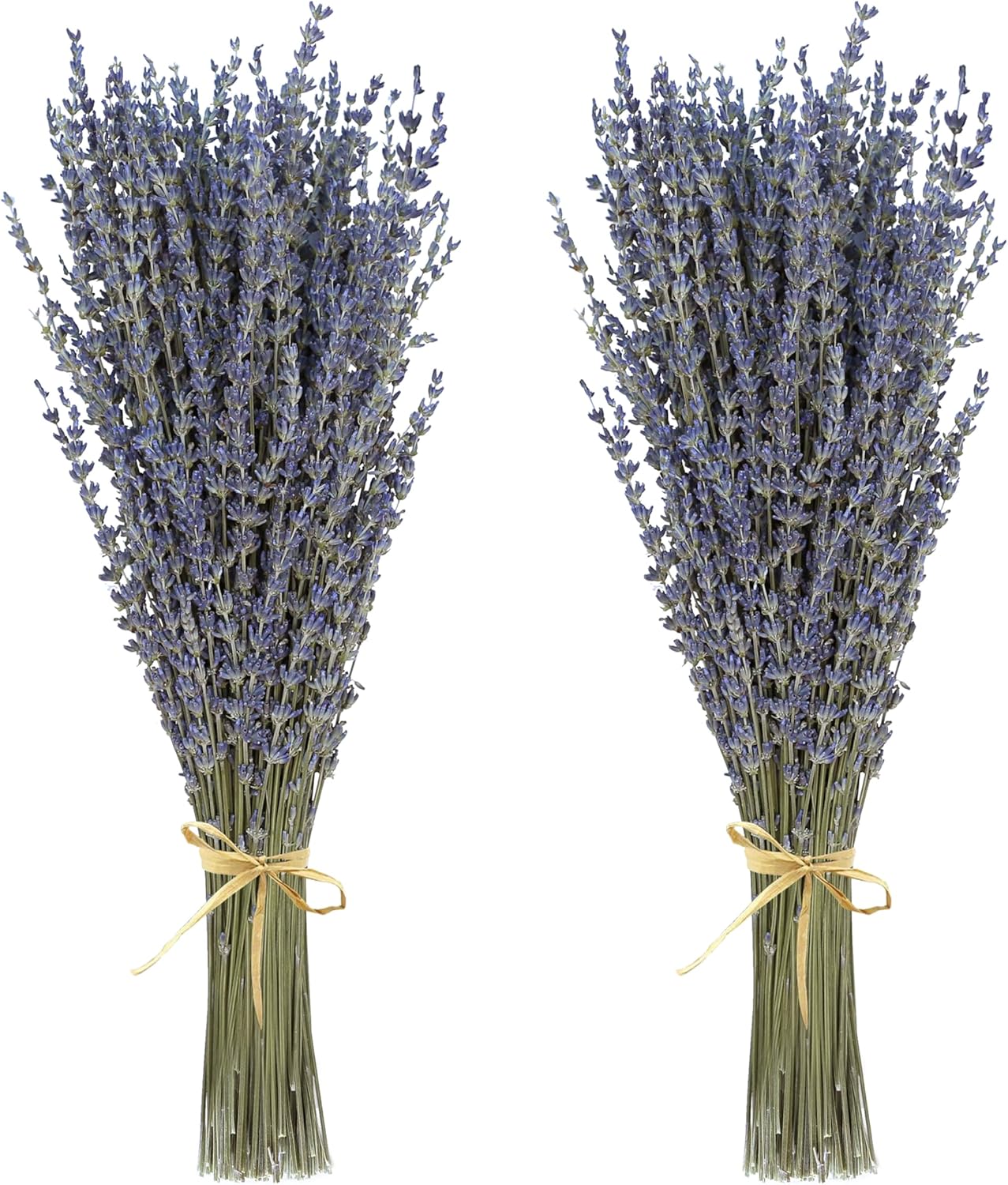 Bouquets de fleurs de lavande séchées (plus de 200 tiges, de 38 à 43 cm de long) pour la ...