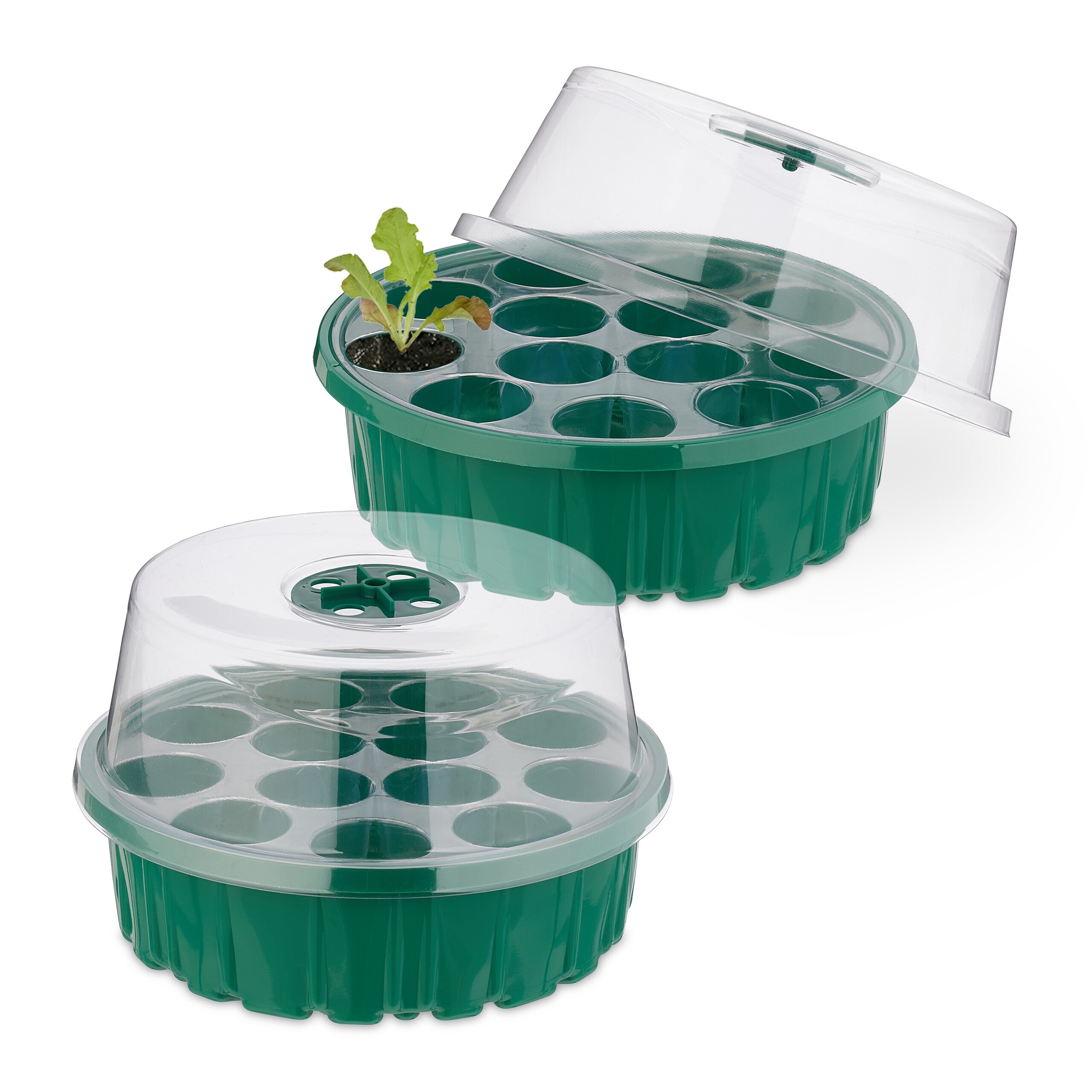 Relaxdays Bac à semis, lot de 2, mini serre pour rebord de fenêtre, 13 ...