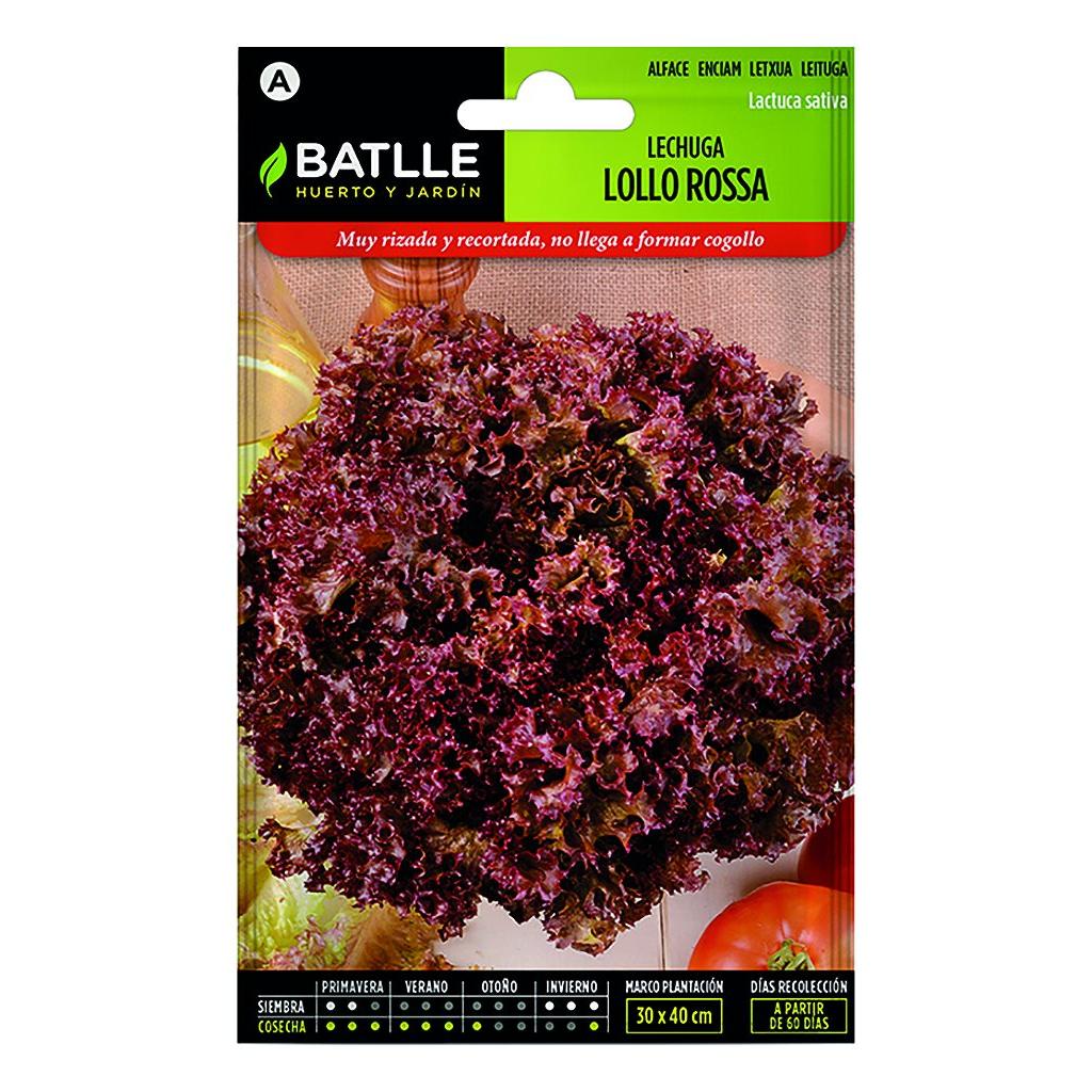 Semillas de lechuga Lollo rosa - Calidad y Versatilidad | Leroy Merlin