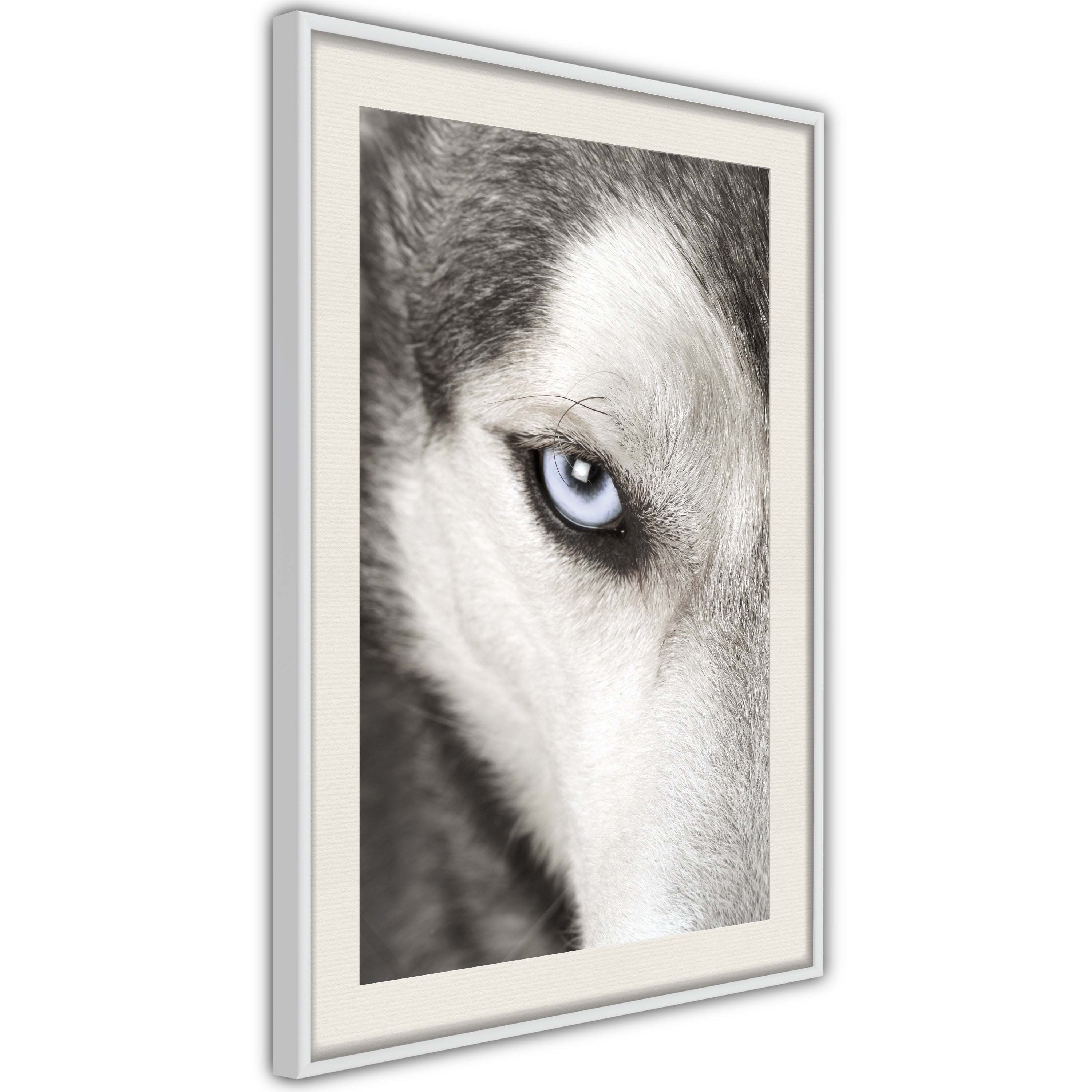 Poster et affiche - Azure Eye 30x45 cm | Leroy Merlin