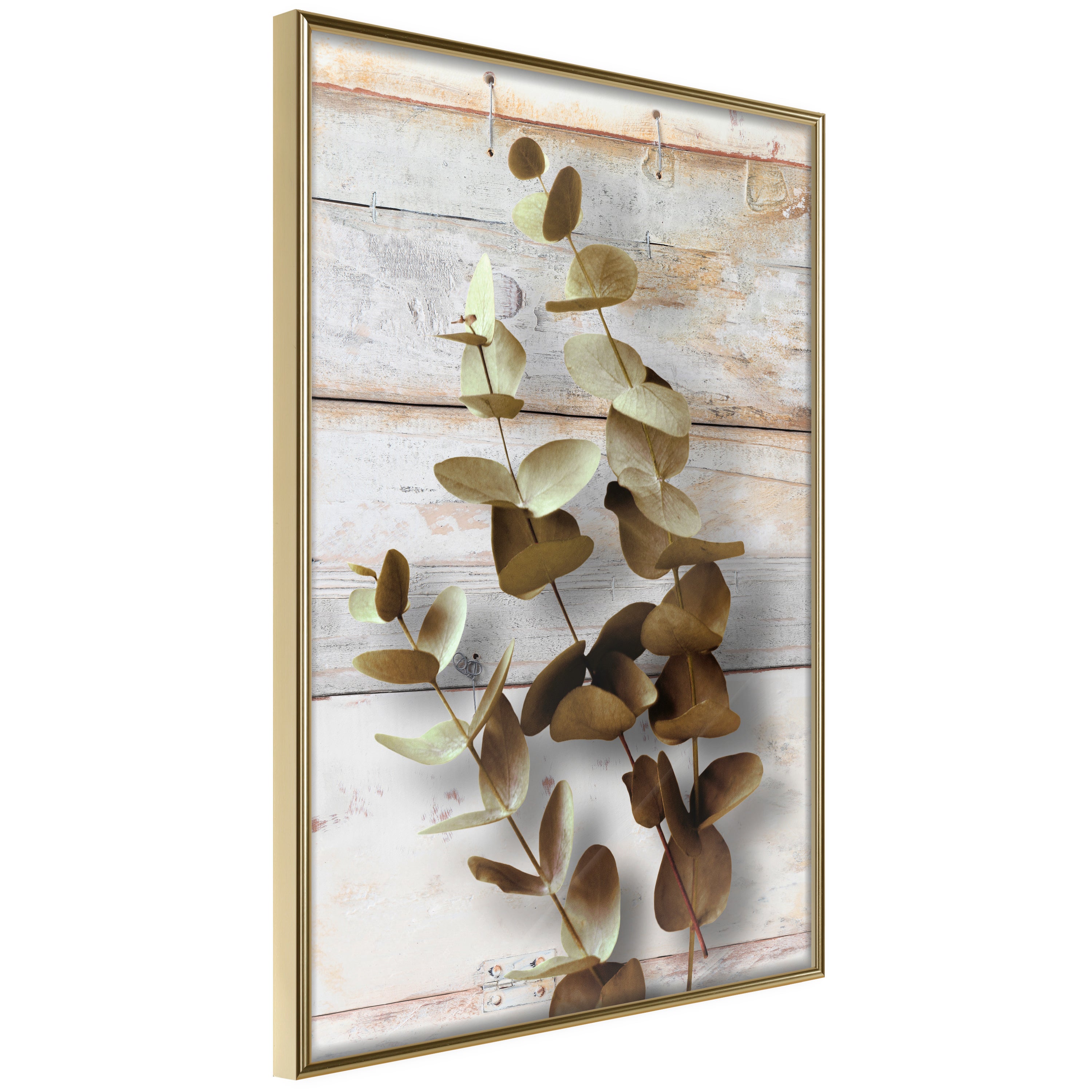 Poster et affiche - Decorative Twigs - 30x45 | Leroy Merlin