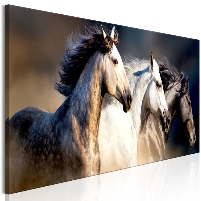 Tableau Imprimé "Sons of the Wind Narrow" 45 x 135 cm | Leroy Merlin