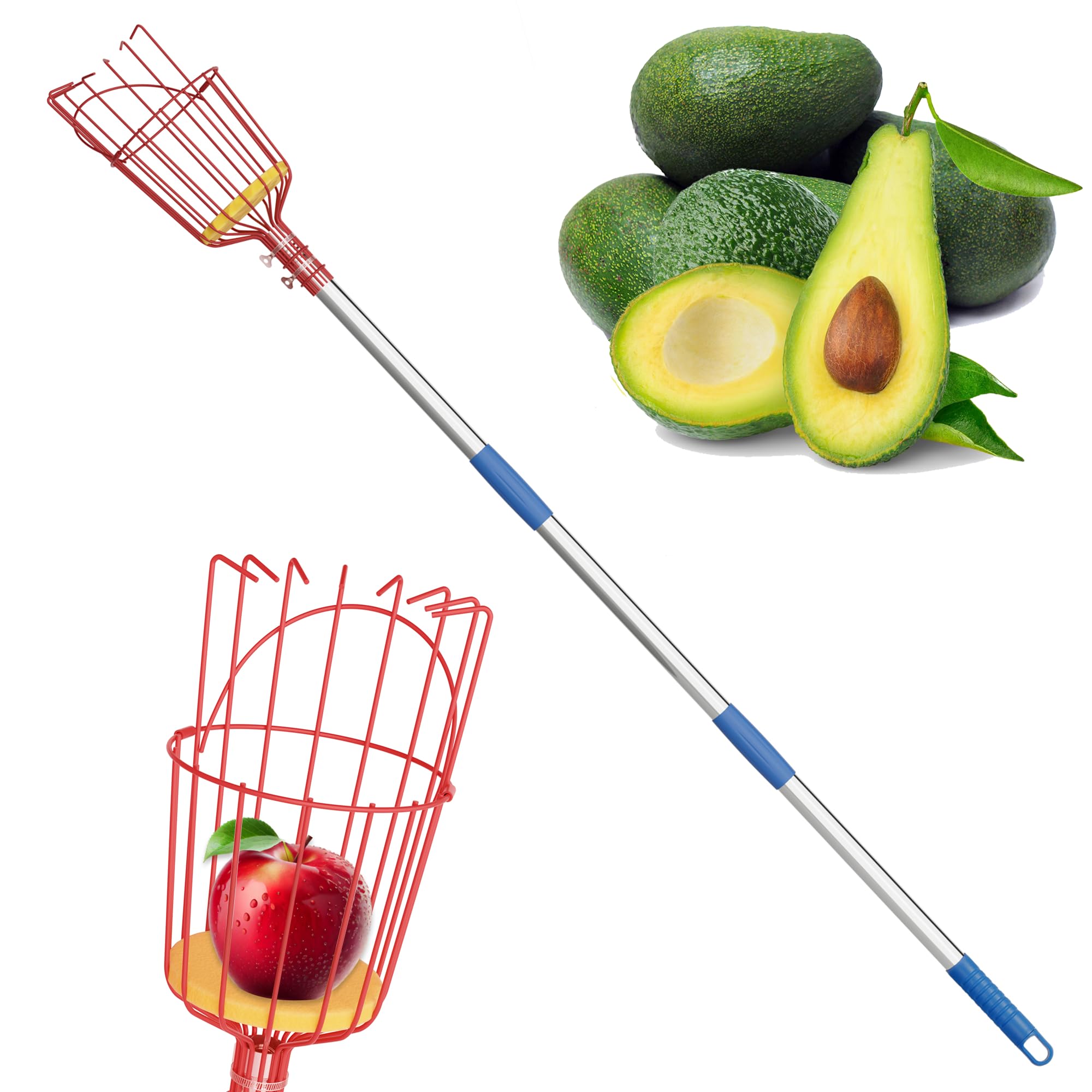 Recolector de frutas plegable y desmontable, herramienta para recoger ...