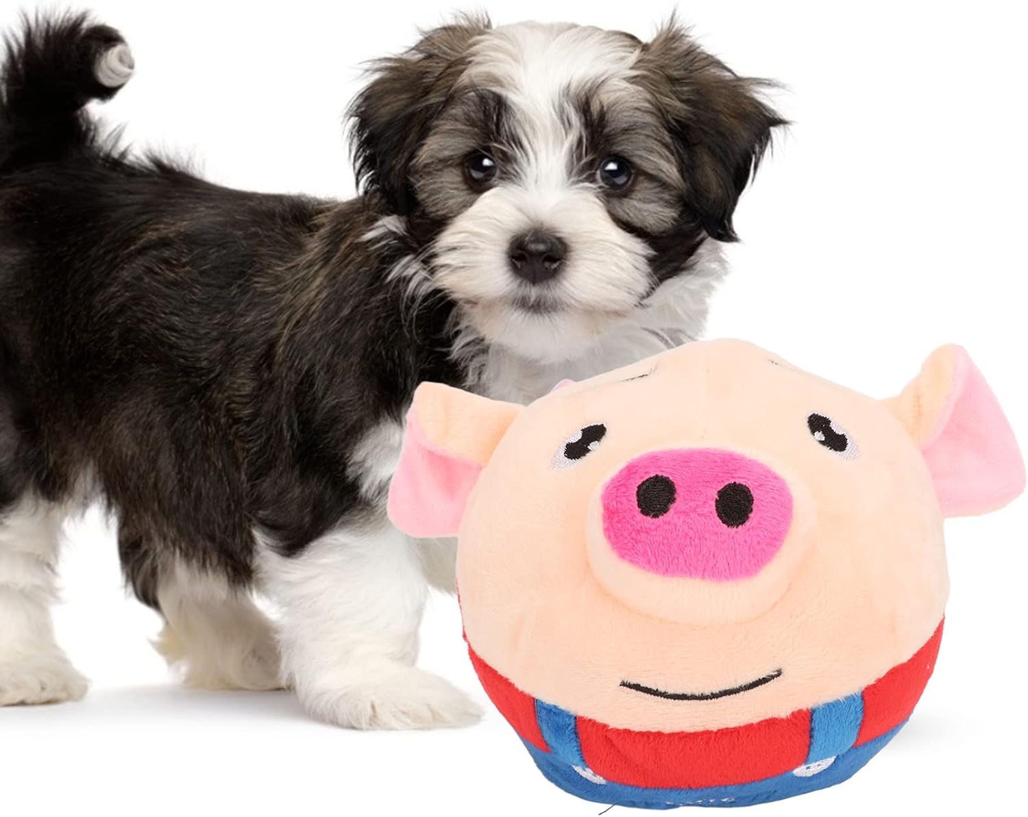 Balle interactive automatique, pour chien, petit gabarit, mouvement ...