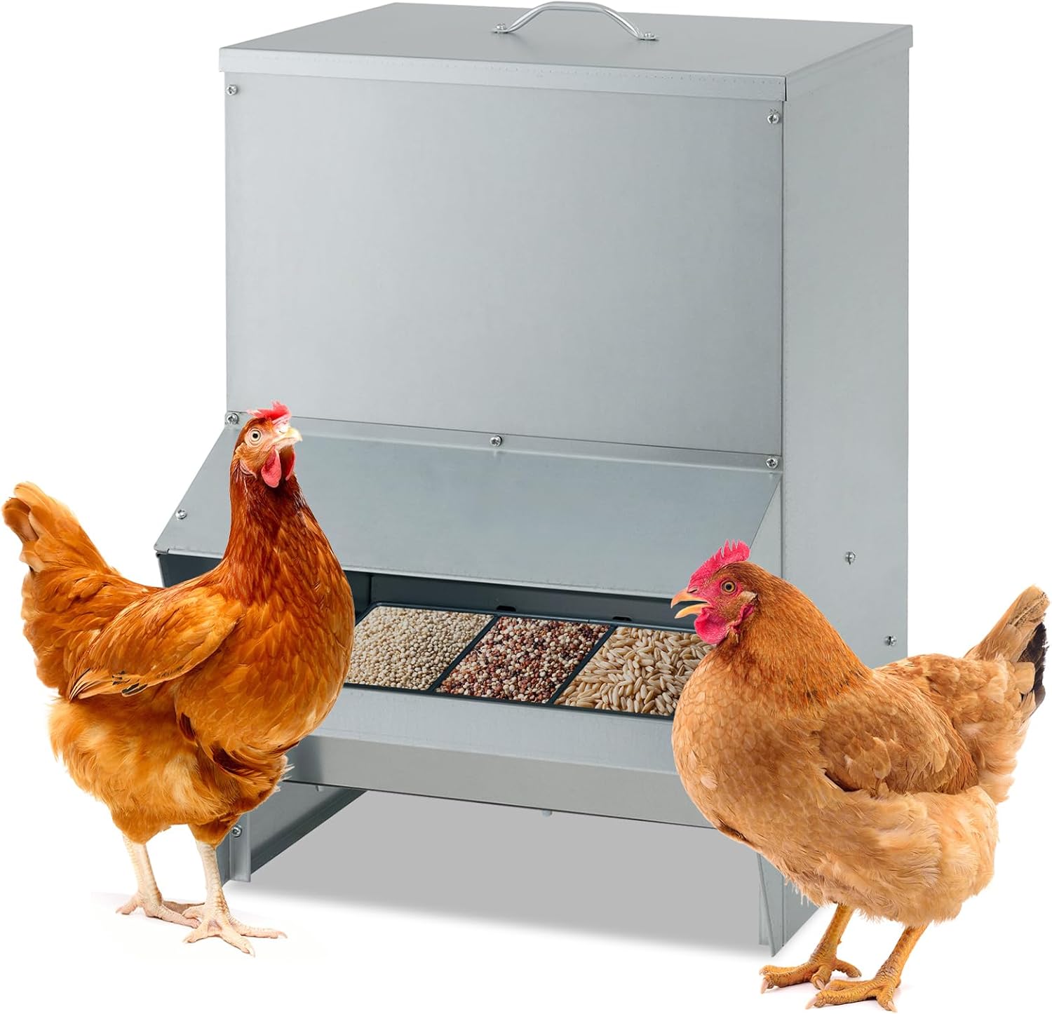 Comedero Galvanizado para Pollos, 22 kg Comedero Automático de Pared ...