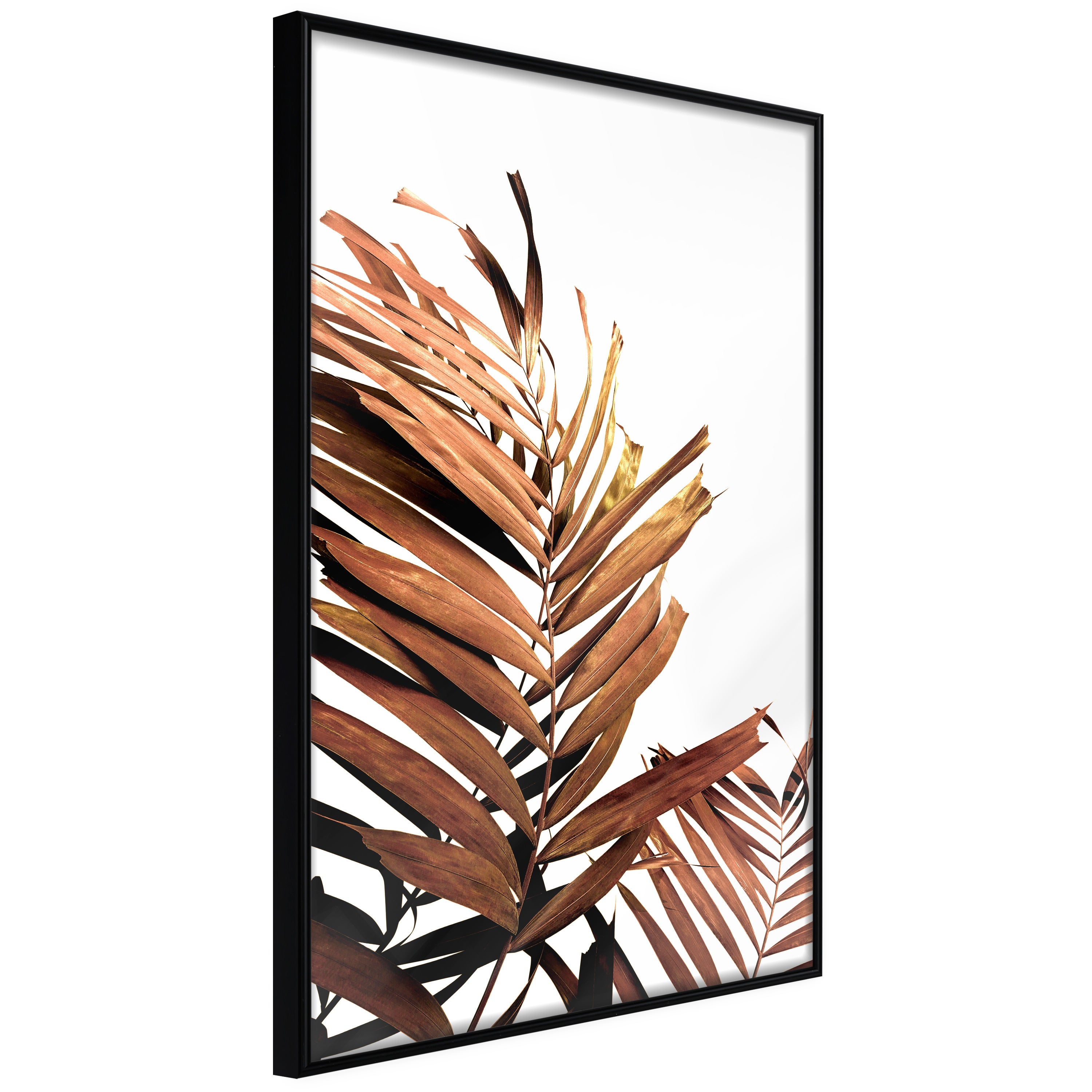 Poster et affiche - Copper Palm - 30x45 | Leroy Merlin