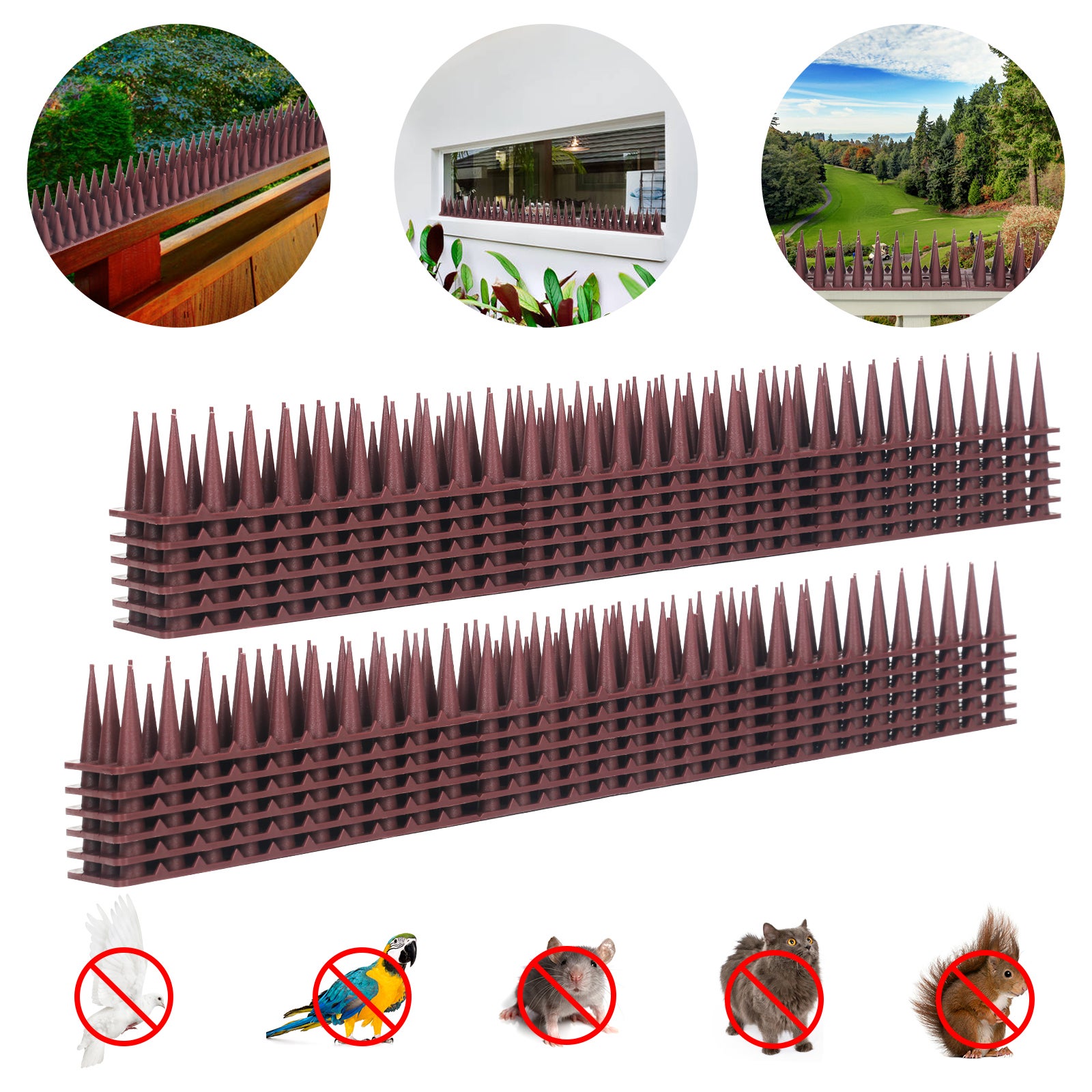 36x Pigeon Defense Bird Disuasion Bird Pics Fotos de defensa de pájaros ...