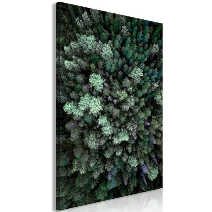 Tableau Imprimé "Flying Over Forest" 60 x 90 cm | Leroy Merlin