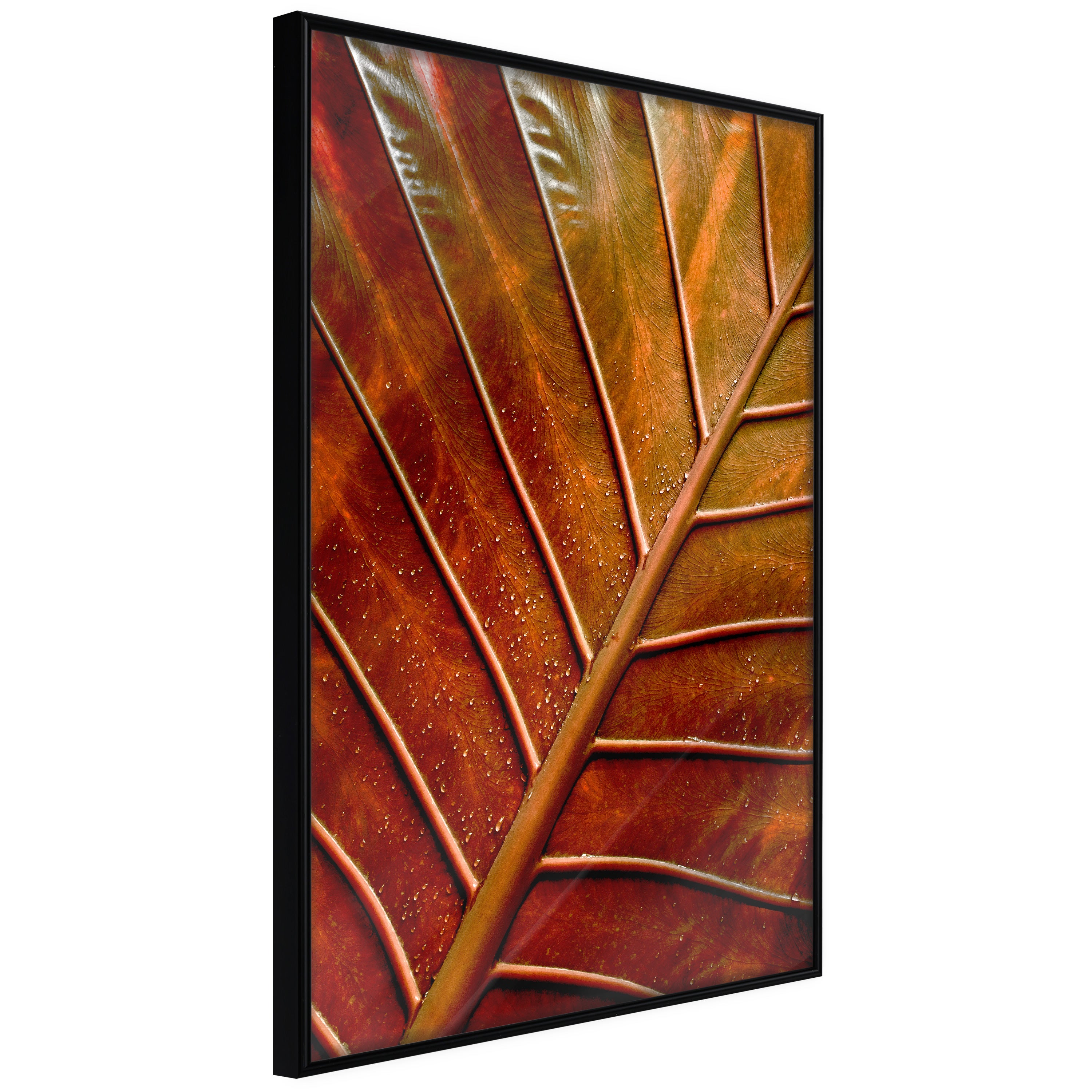 Poster et affiche - Bronze Leaf - 30x45 | Leroy Merlin