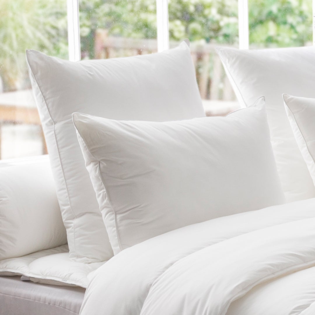 DODO | Oreiller Thermoduv 70% Duvet d'Oie MEDIUM 60x60 | Leroy Merlin