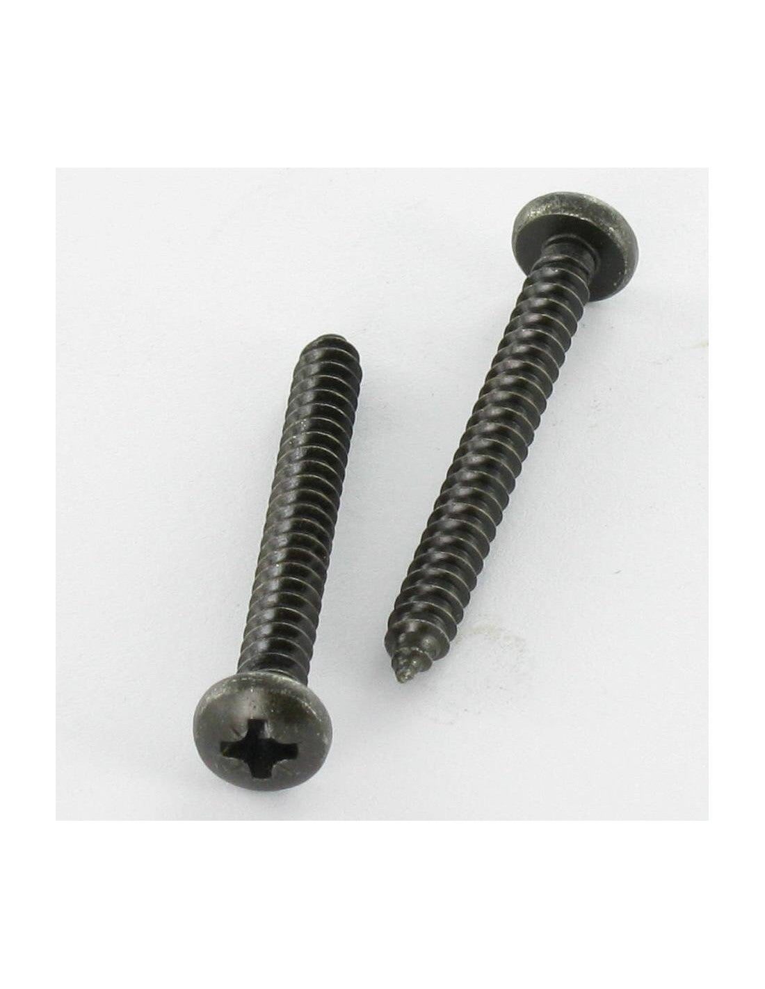 Vis tôle Inox A2 tête cylindrique bombée large Pozi 4.2X38 Noir-10 ...