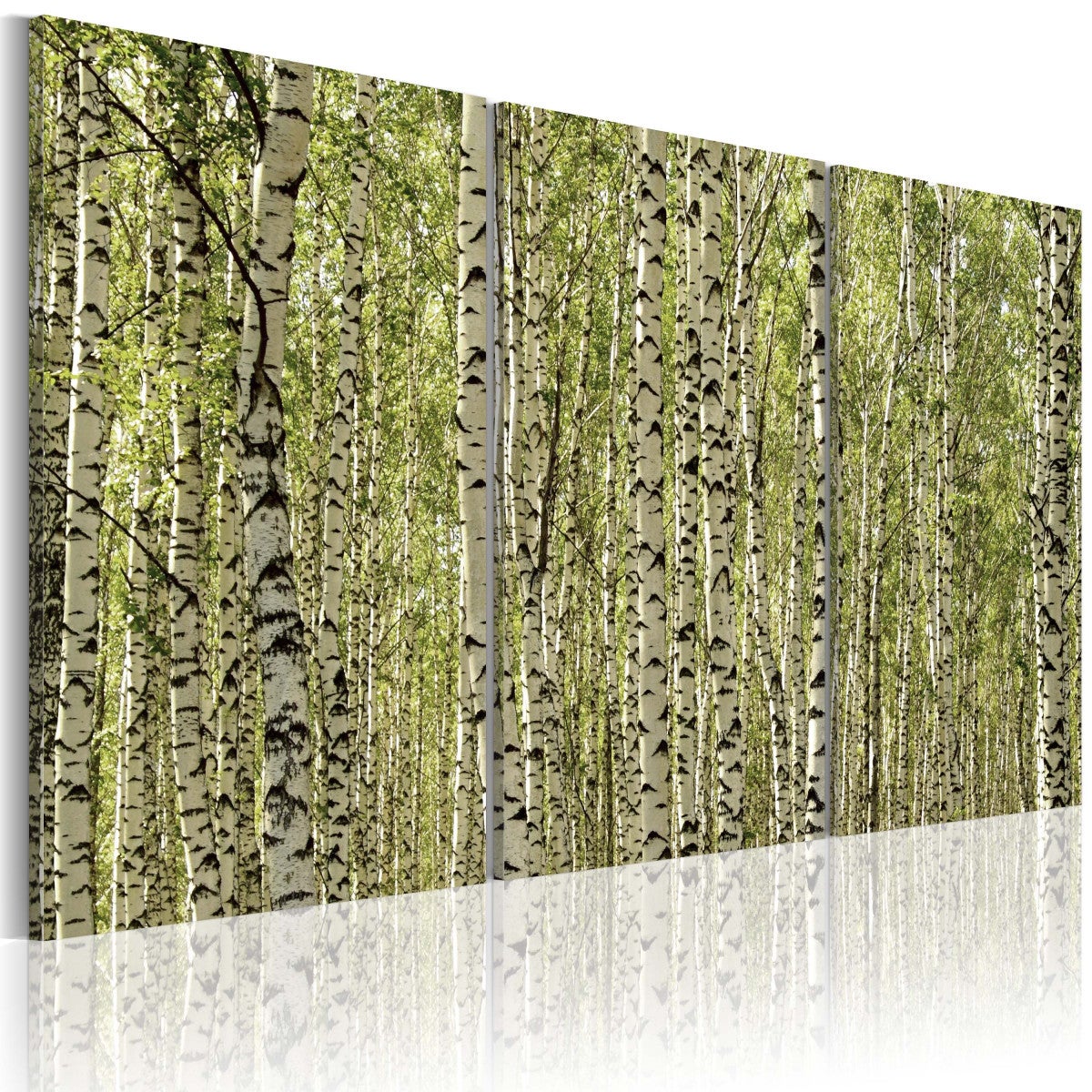 Tableau Imprimé "Forêt de Bouleaux" 80 x 120 cm | Leroy Merlin