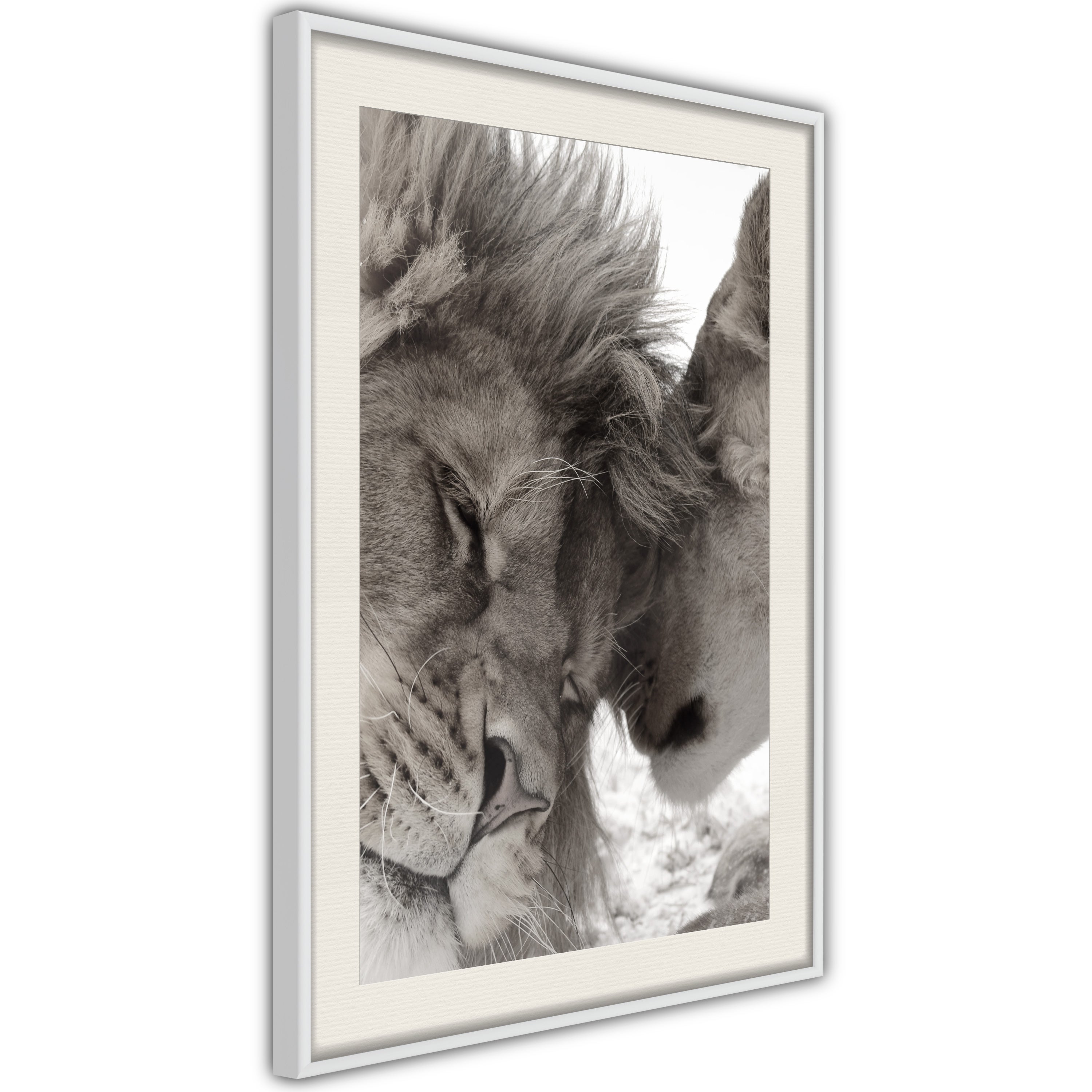 Poster et affiche - Predatory Couple 40x60 cm | Leroy Merlin