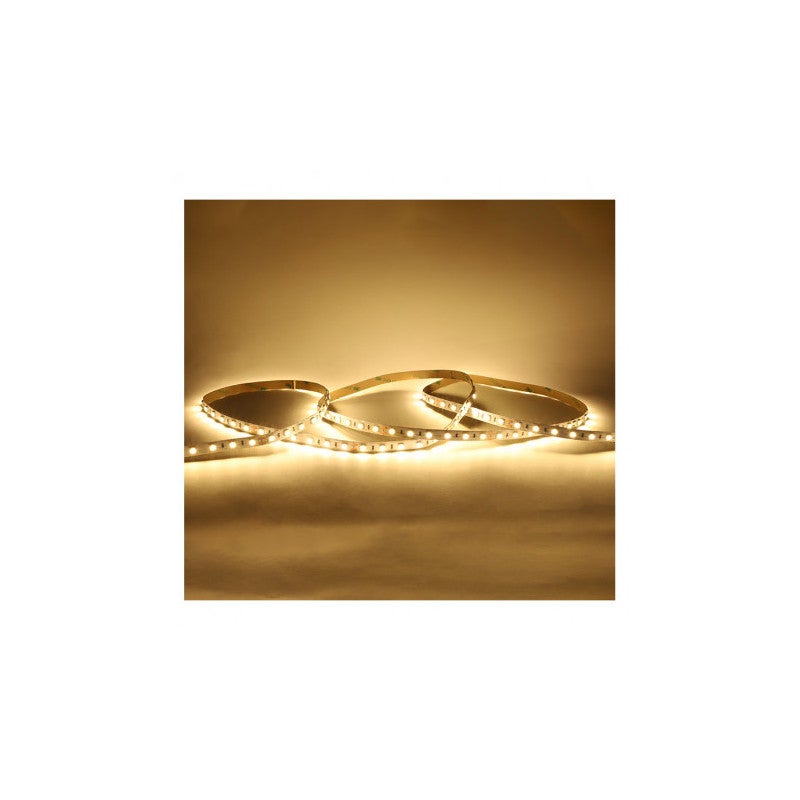 Bandeau LED DC12V Dimmable 9W/m 920lm/m 120LED/m 120° Étanche IP54 5m ...