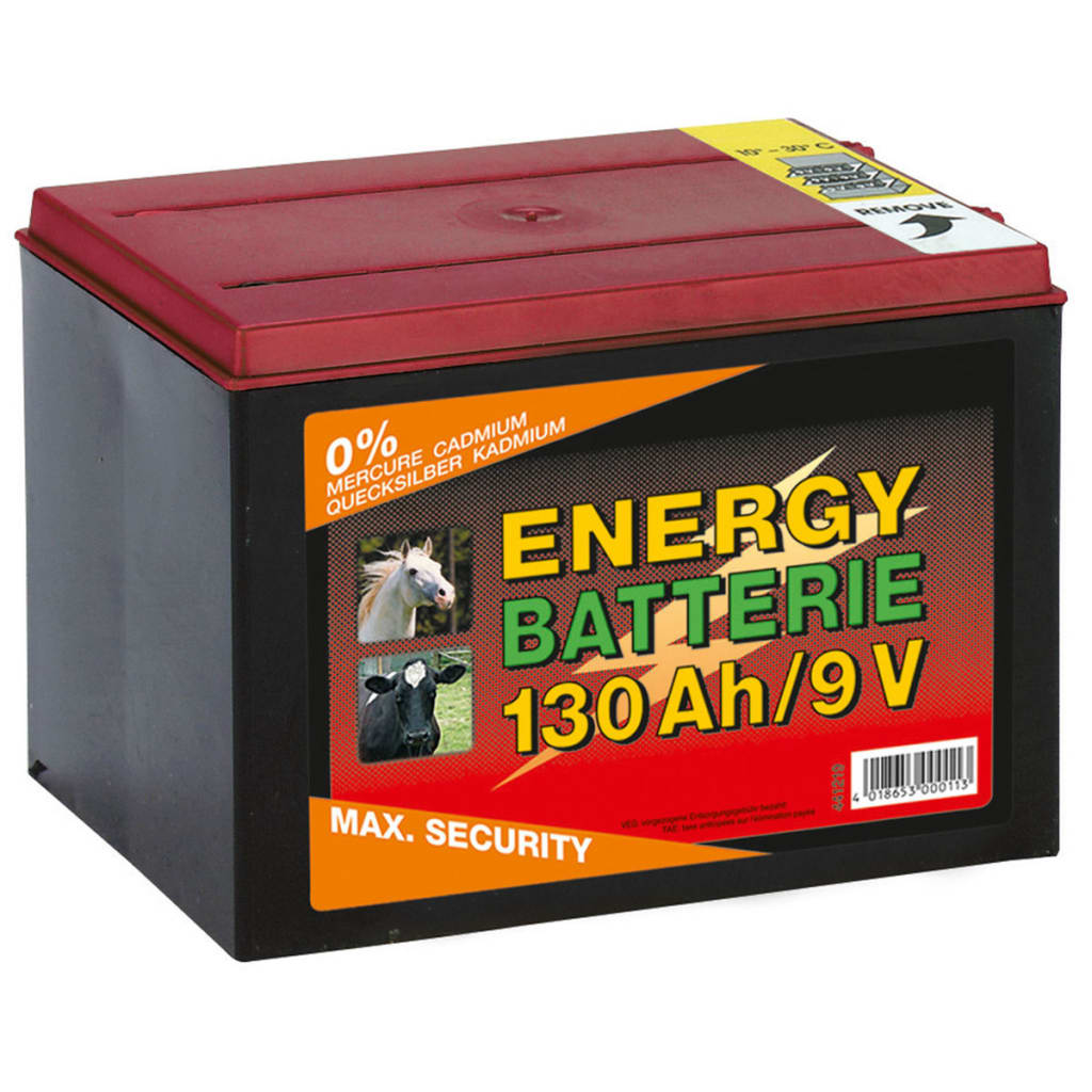 Batterie sèche Carbone de zinc 9 V 130 Ah Kerbl | Leroy Merlin