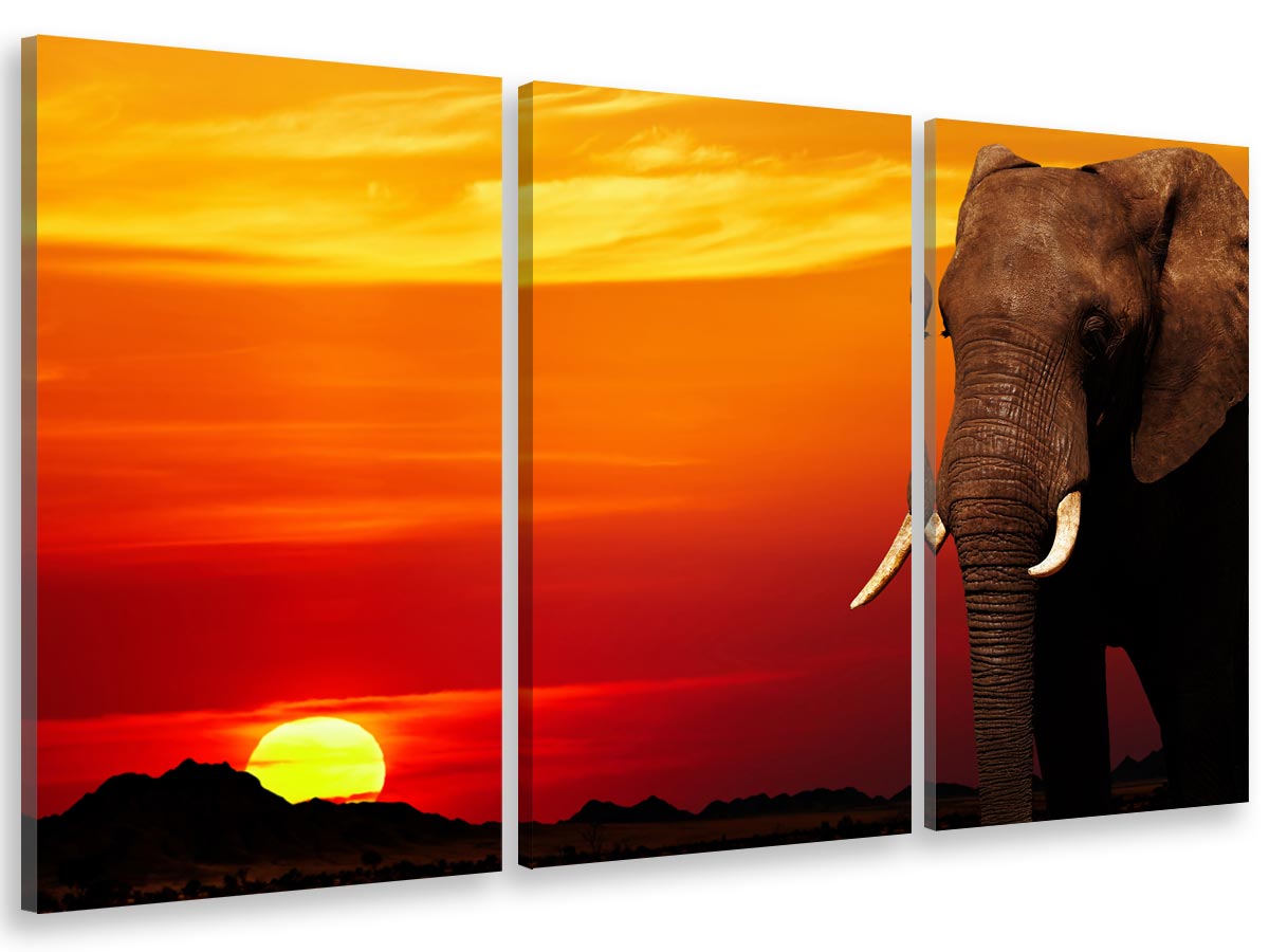 Tableau triptyque deco eléphant et ivoire au coucher du soleil - 90x60 ...