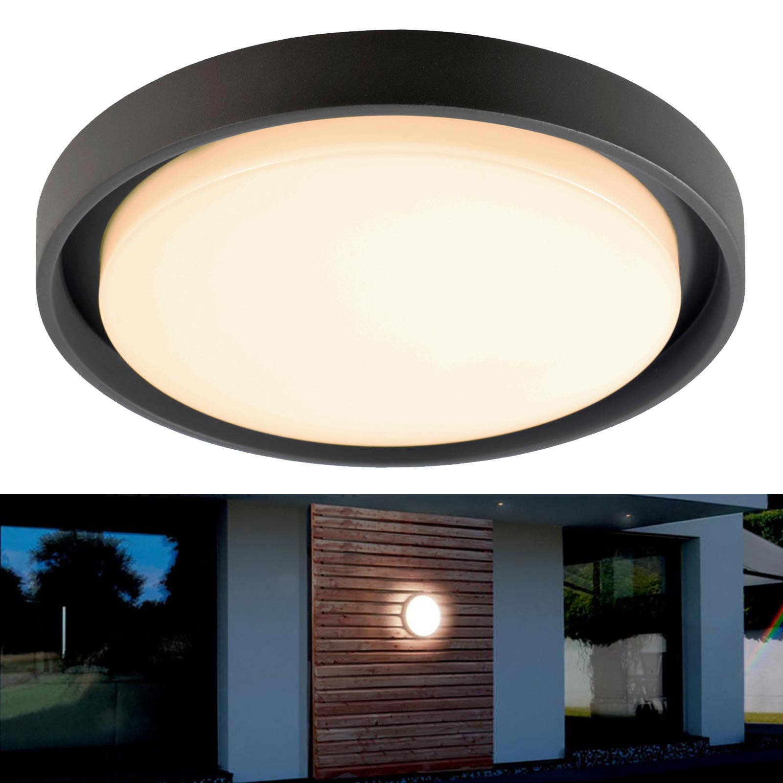 ASCELLA Luz de techo LED 30W IP54 lámpara de techo lámpara de pared ...