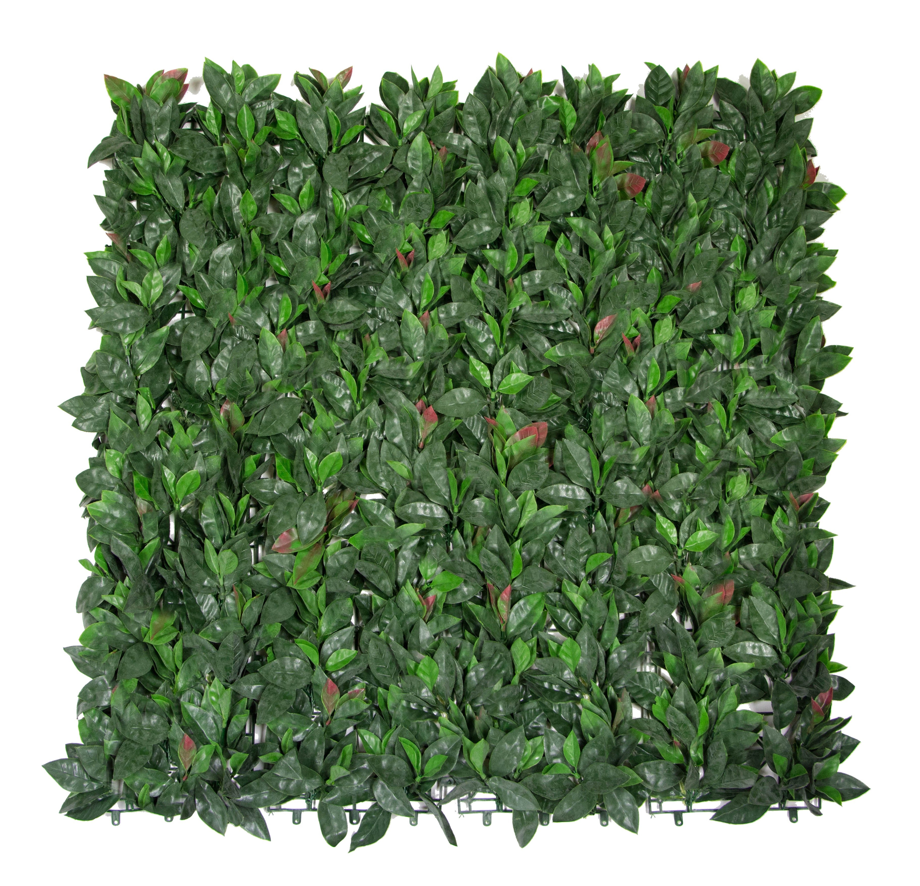Seto Artificial Decorativo THUYA 100×100 cm – Jardín Vertical con Alta ...
