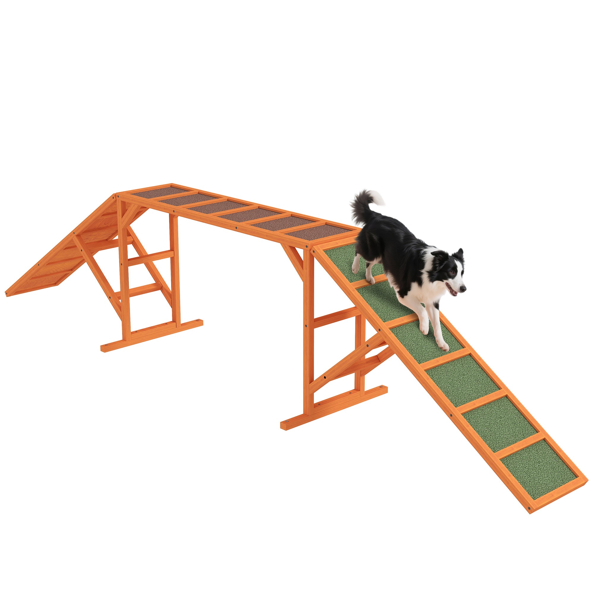 Rampe pour chiens d’agilité, orange, 335 x 55 x 60 cm, bois, étanche ...