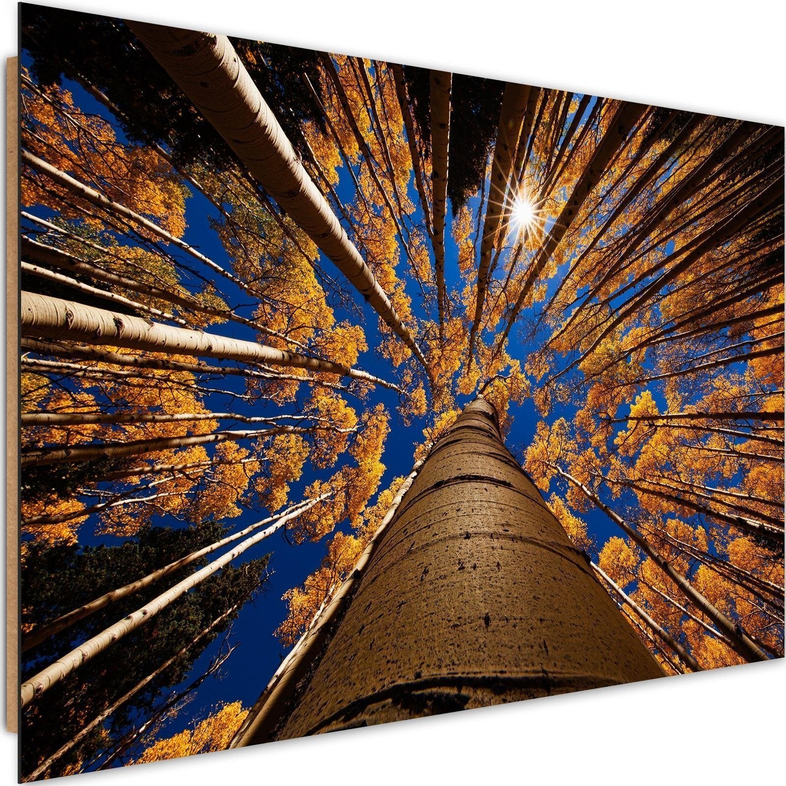 Tableau cime des arbres - 120 x 80 cm | Leroy Merlin