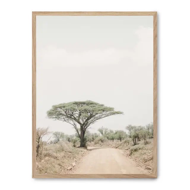 Arbre dans la savane je peins | Leroy Merlin