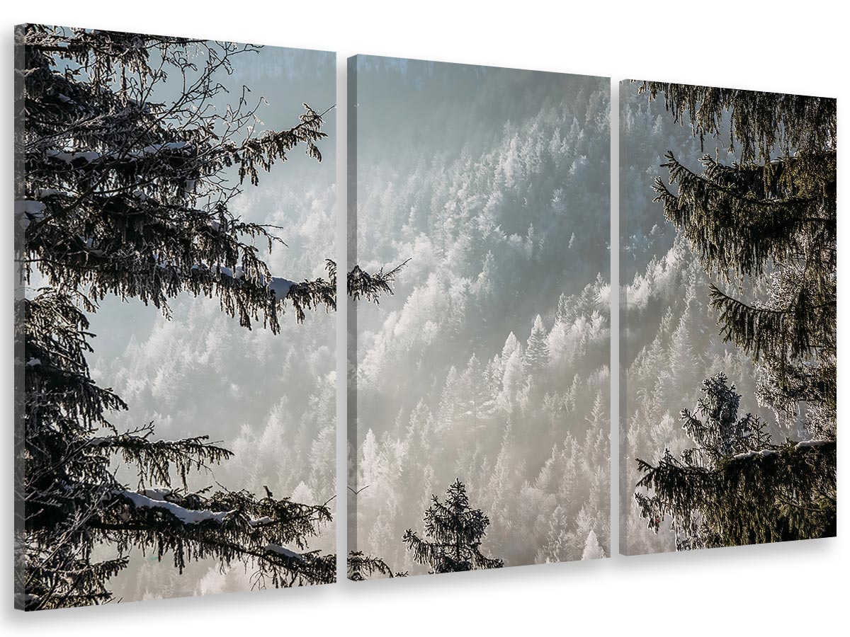 Tableau triptyque Tableau photo forêt de melezes enneigée canada ...