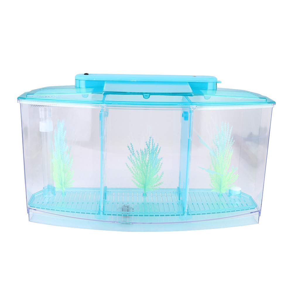 Boîte d'élevage de poissons, boîte d'isolement d'aquarium, petite ...