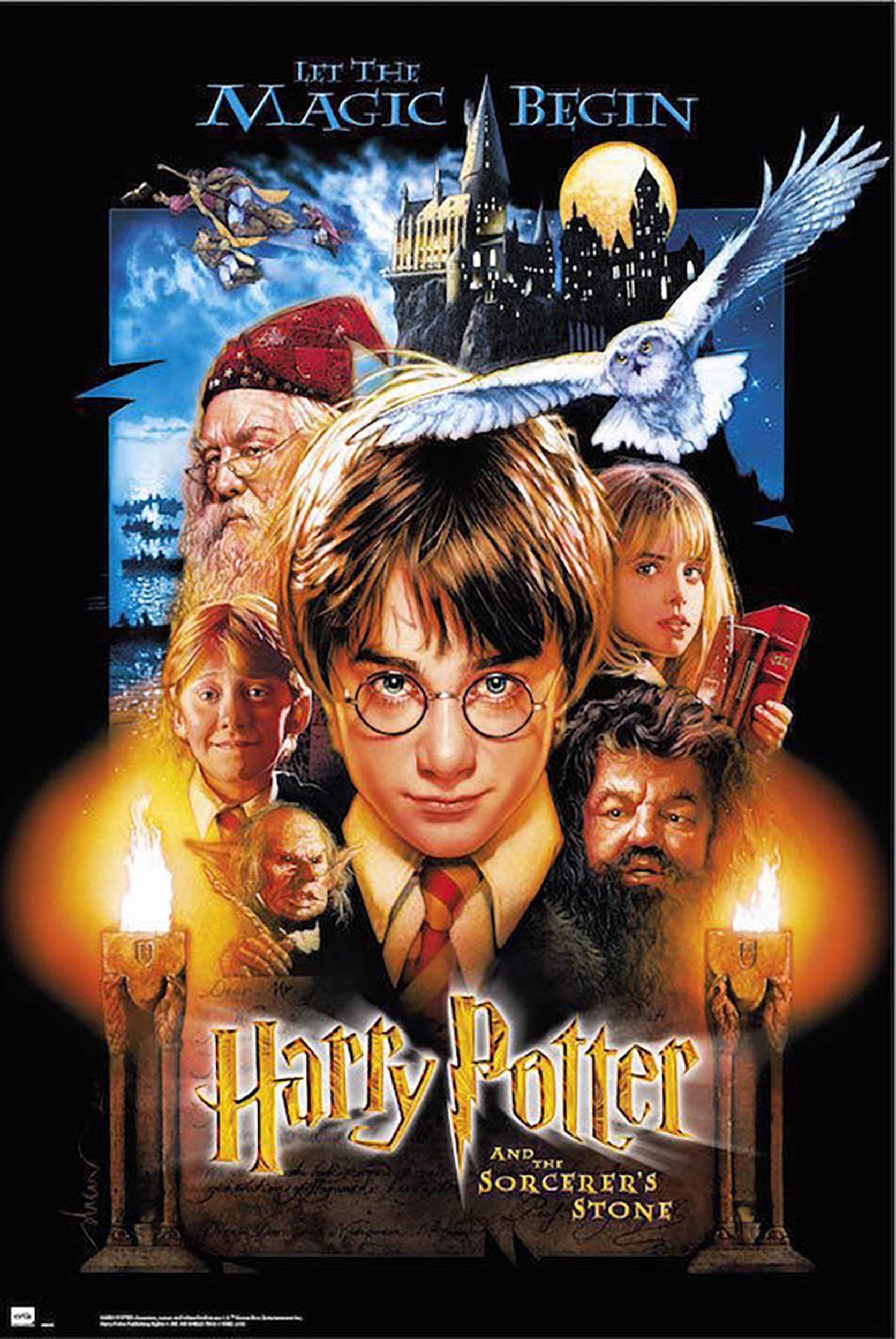 Poster Harry Potter - and the Sorcerers Stone 61x91.5cm | Leroy Merlin