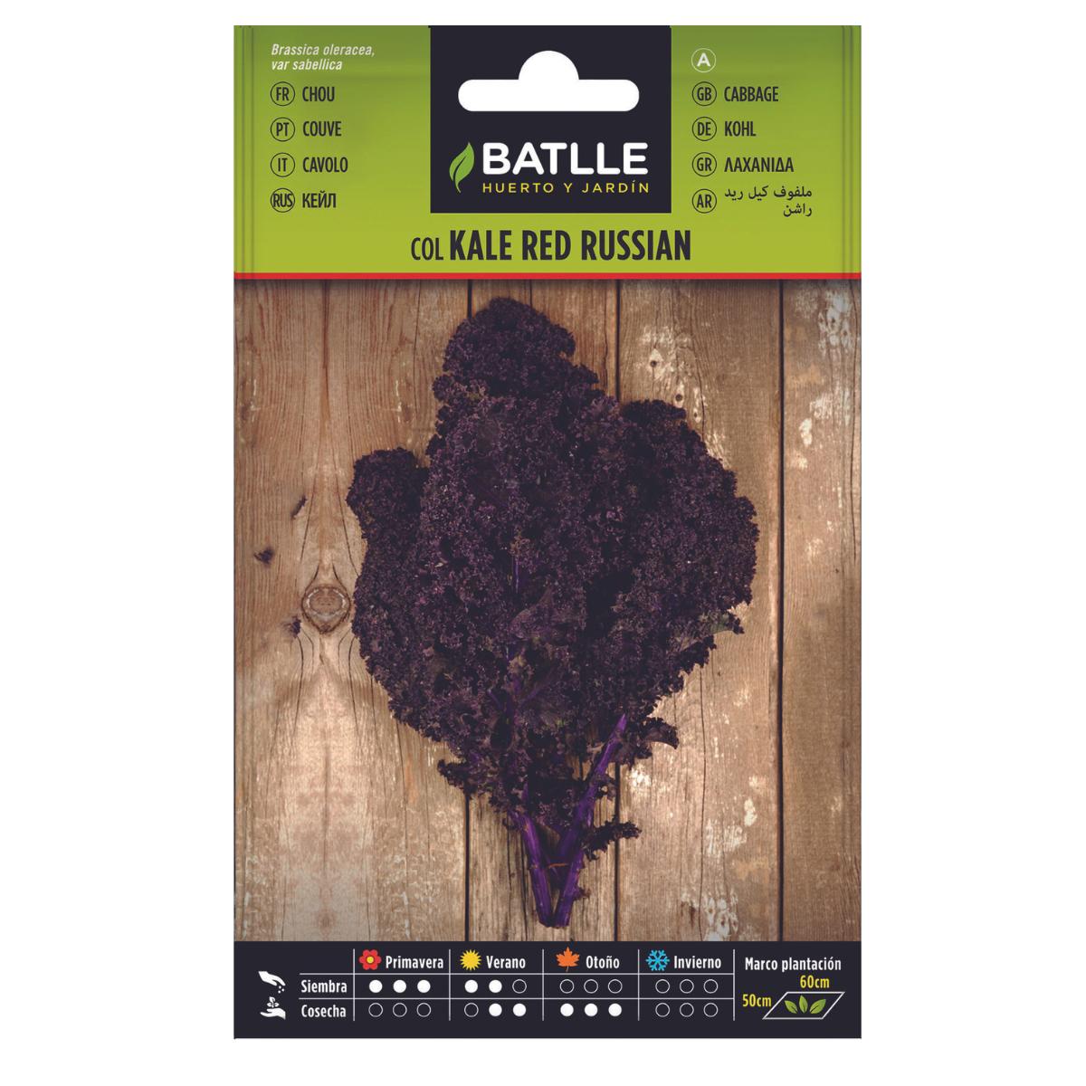 Graines de Chou Batlle Russe Rouge Kale 100g | Leroy Merlin