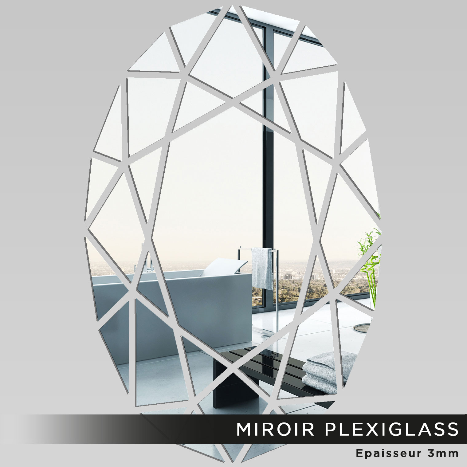 Miroir Plexiglass - Oval 3617689980256 - 60x92 cm | Leroy Merlin