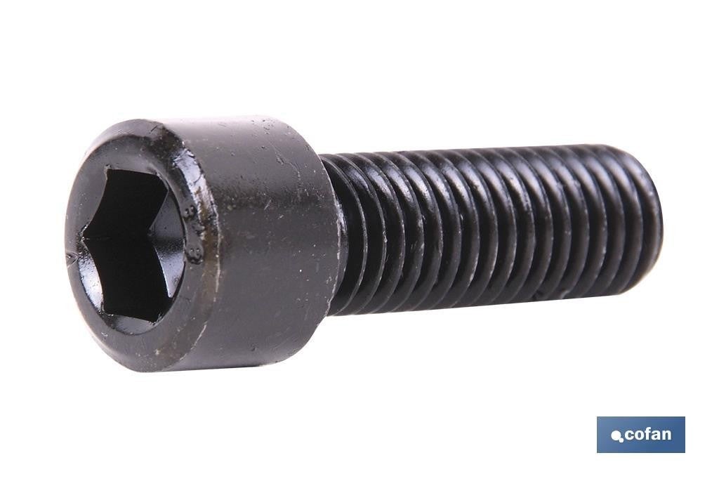 DIN-912 C-12.9 M-12 X 25 N | Leroy Merlin