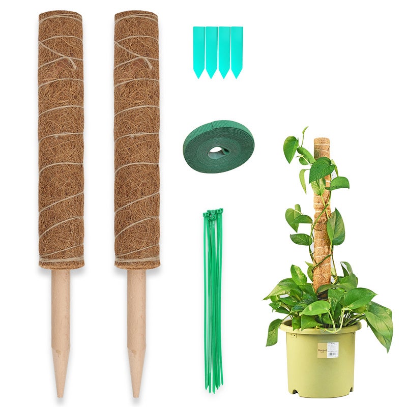 Coco Support 2pcs para Plant Awemoz Coco Stick expandible con 10 ...