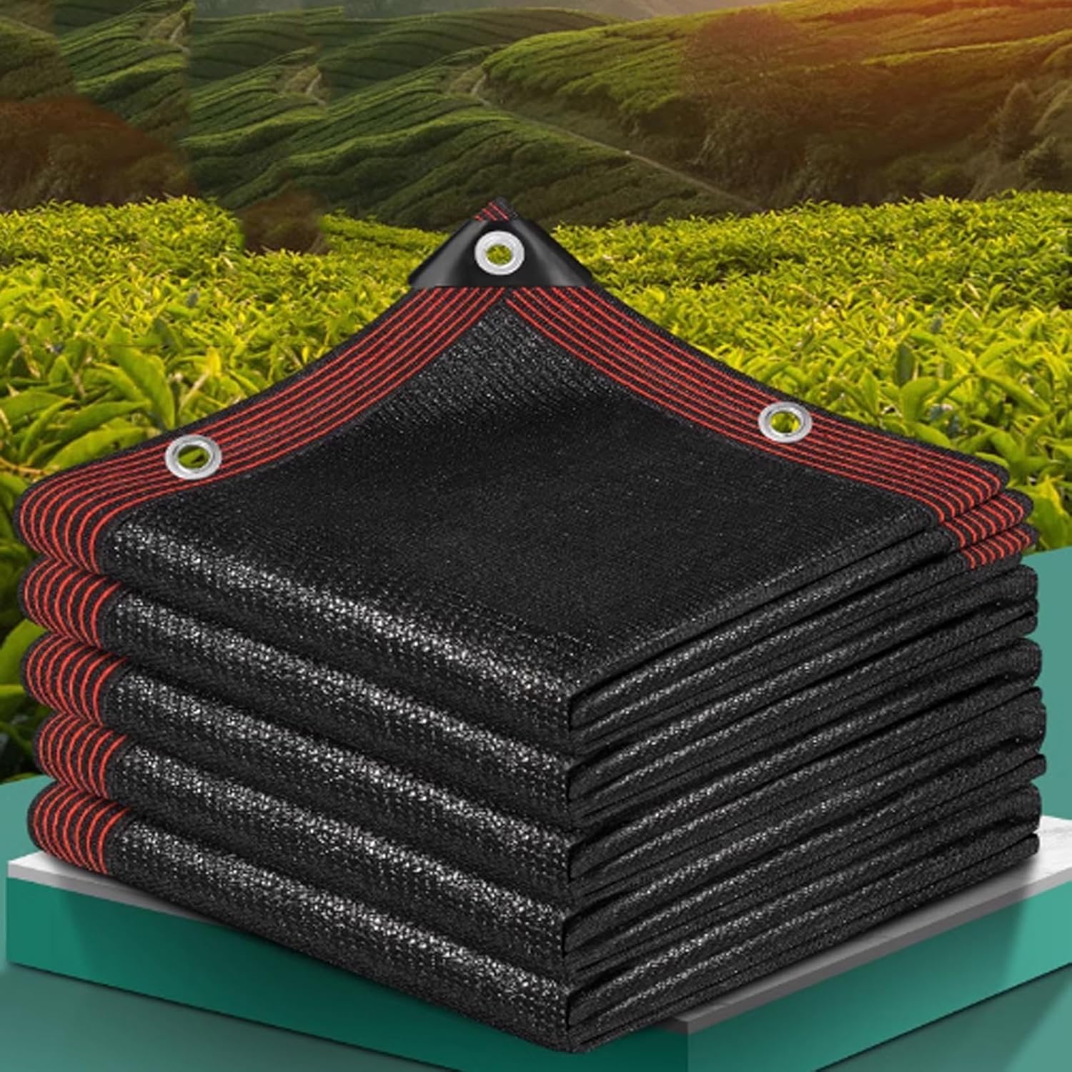 Filet d'Ombre Universel 5x5m - Pour Serre, Jardin, Terrasse et Voiture ...