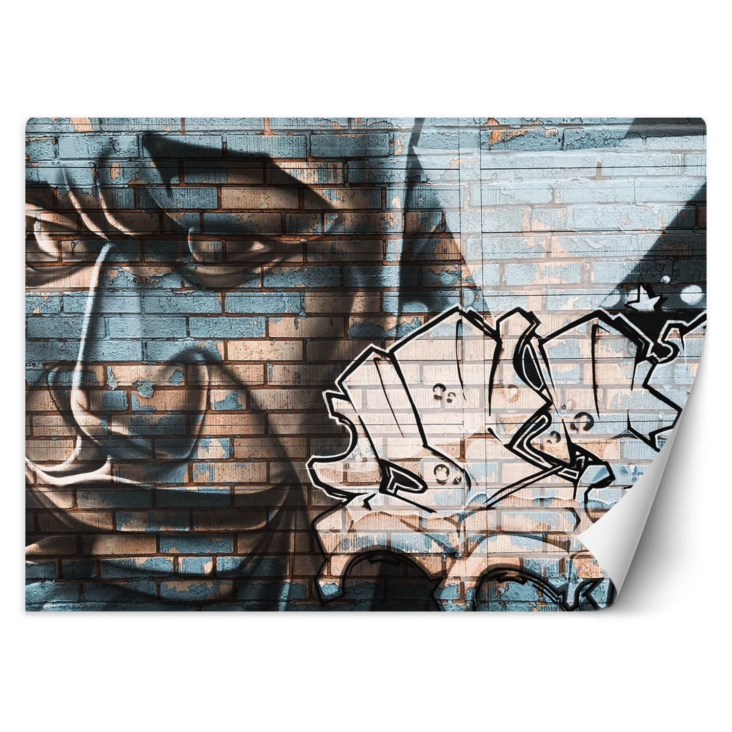 Papier peint, graffiti visage 200x140 | Leroy Merlin