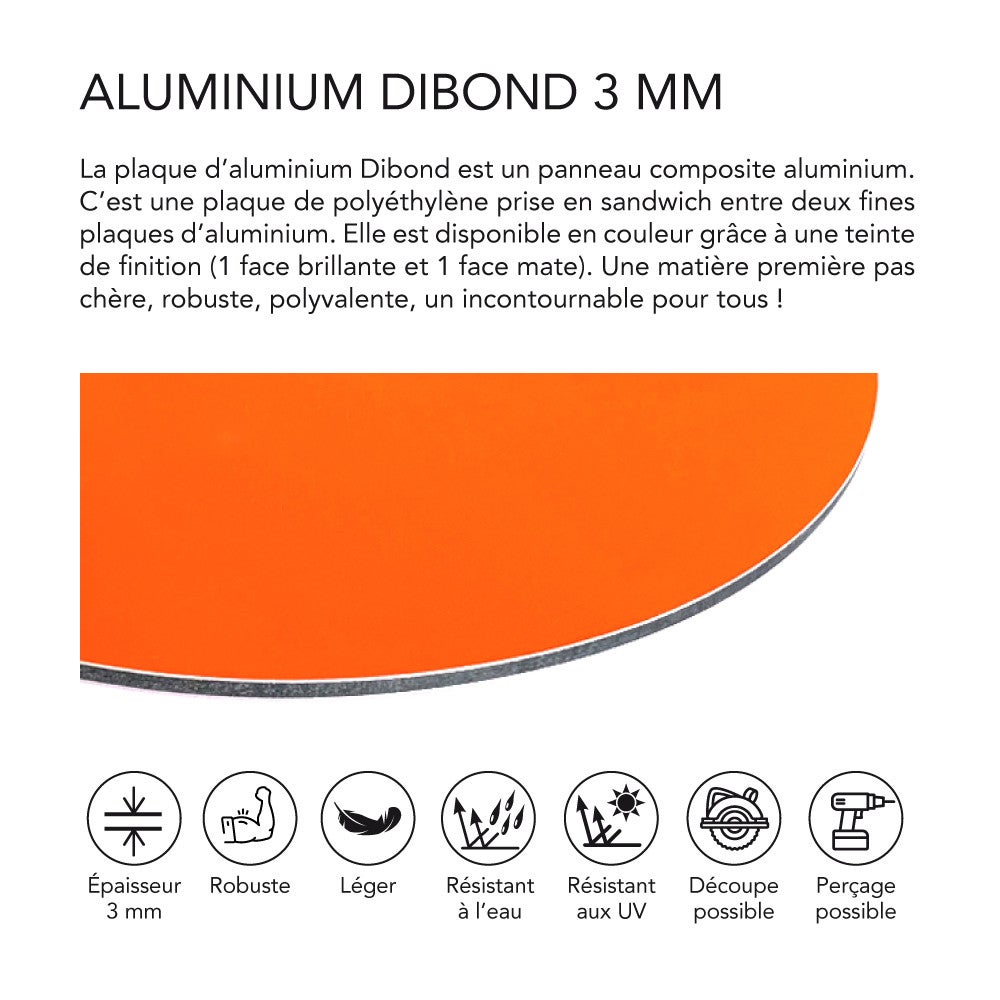 Panneau Composite Aluminium Couleur 3 mm Rond Diamètre 400 mm | Leroy ...