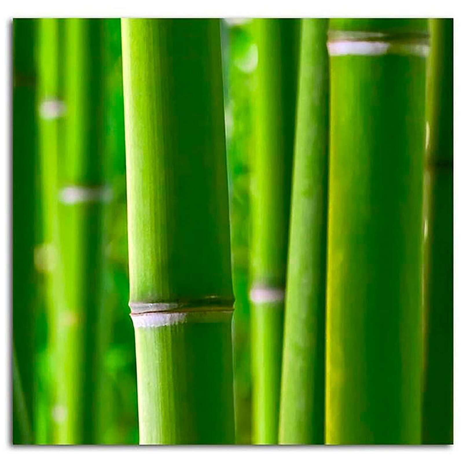 Tableau bambous - 20 x 20 cm | Leroy Merlin